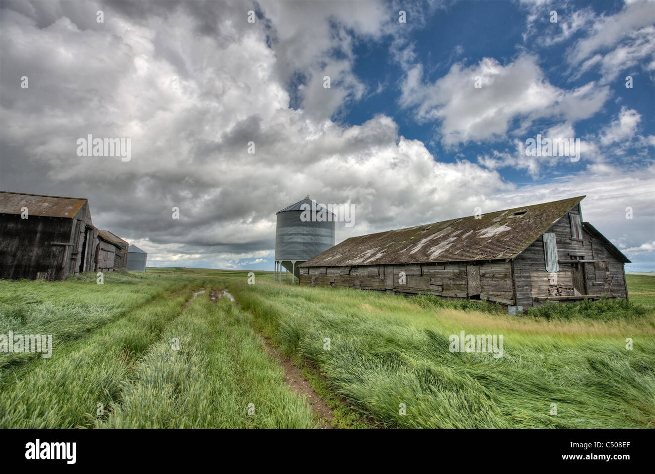 Canadian prairie hi-res stock photography and images - Alamy