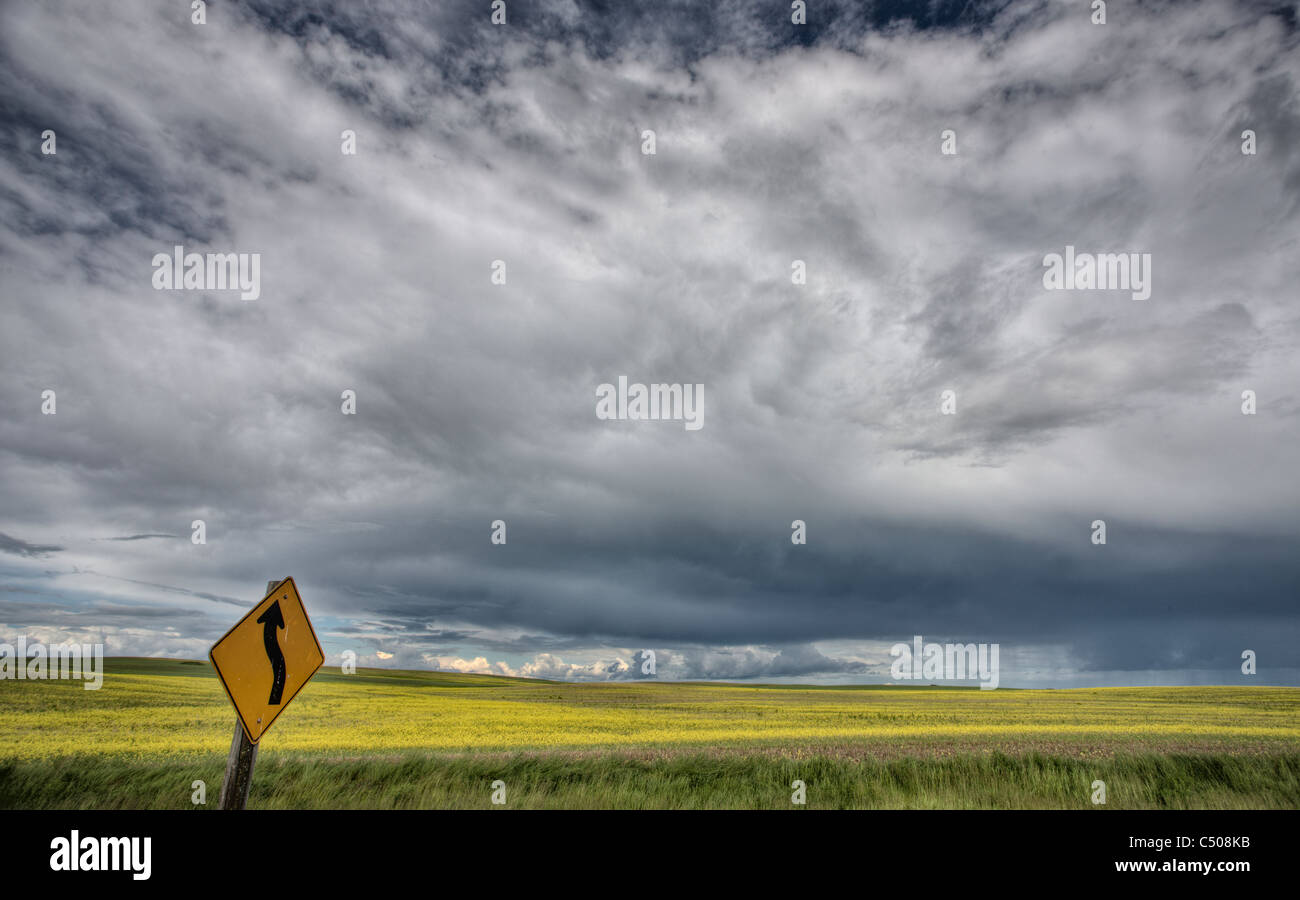 Yellow Turn Sign with canola field and storm clouds Stock Photo - Alamy