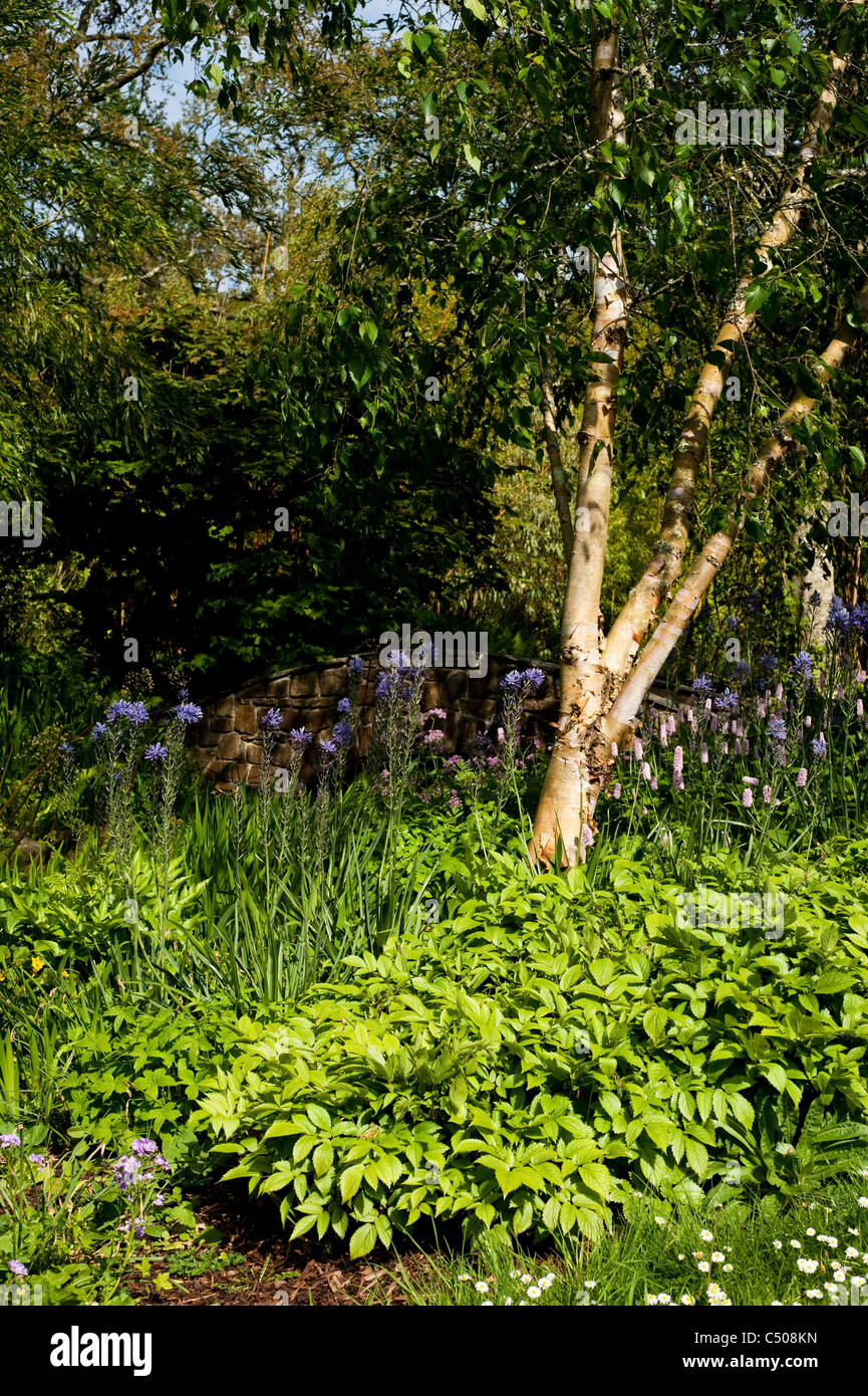 RHS Rosemoor Gardens in April, Devon, England, United Kingdom Stock ...