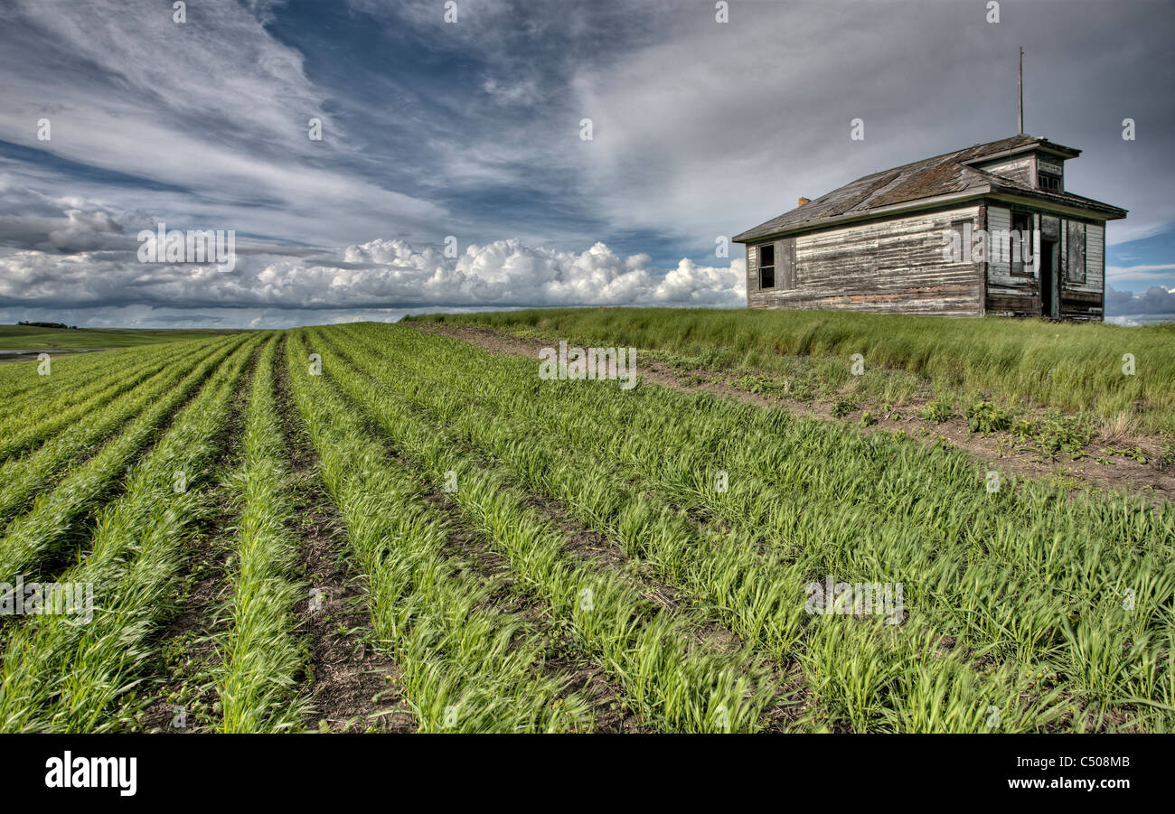 Canadian prairie farm house hi-res stock photography and images - Alamy
