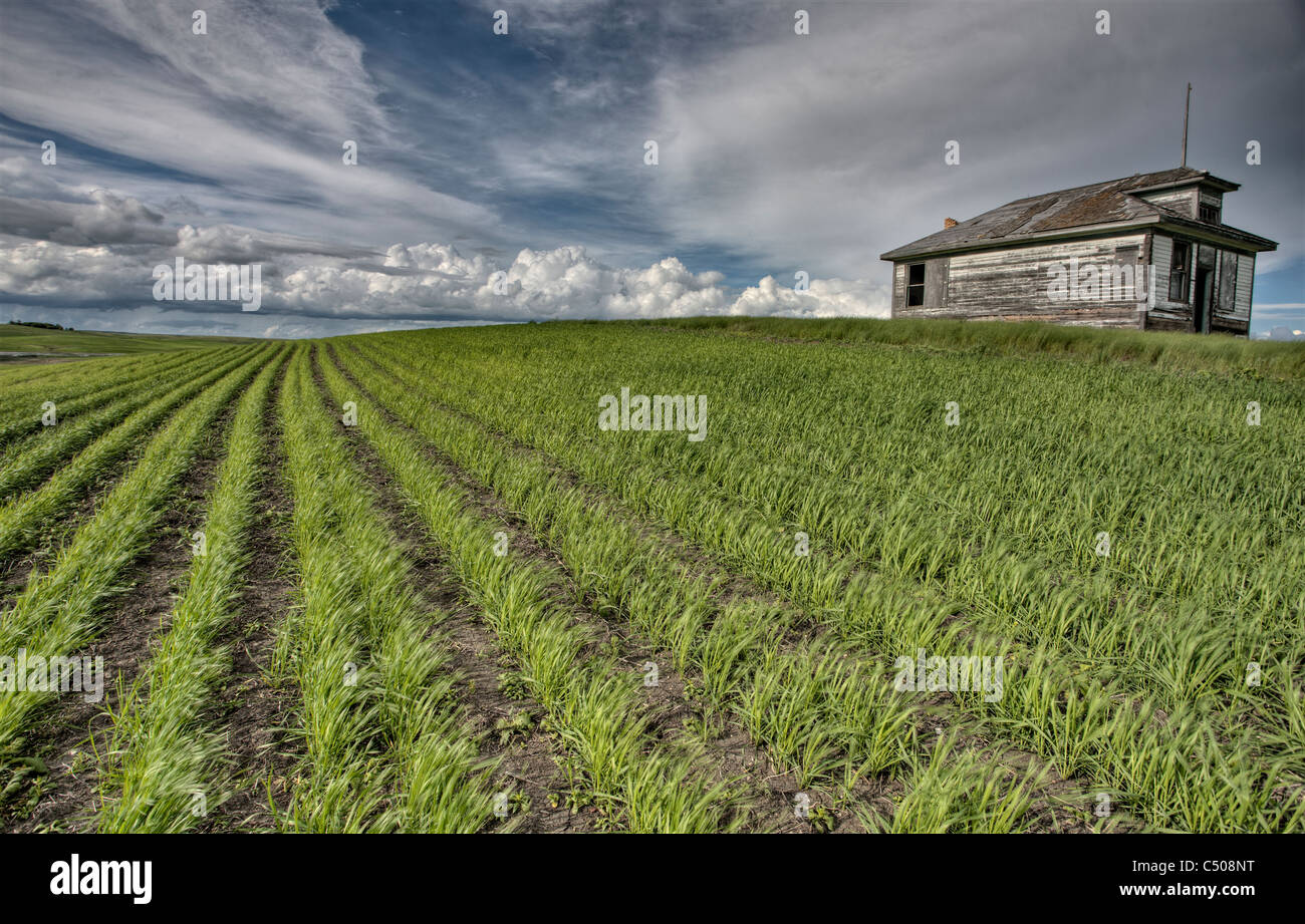 Abandoned Farm with storm clouds in the Canadian Prairie Stock Photo ...