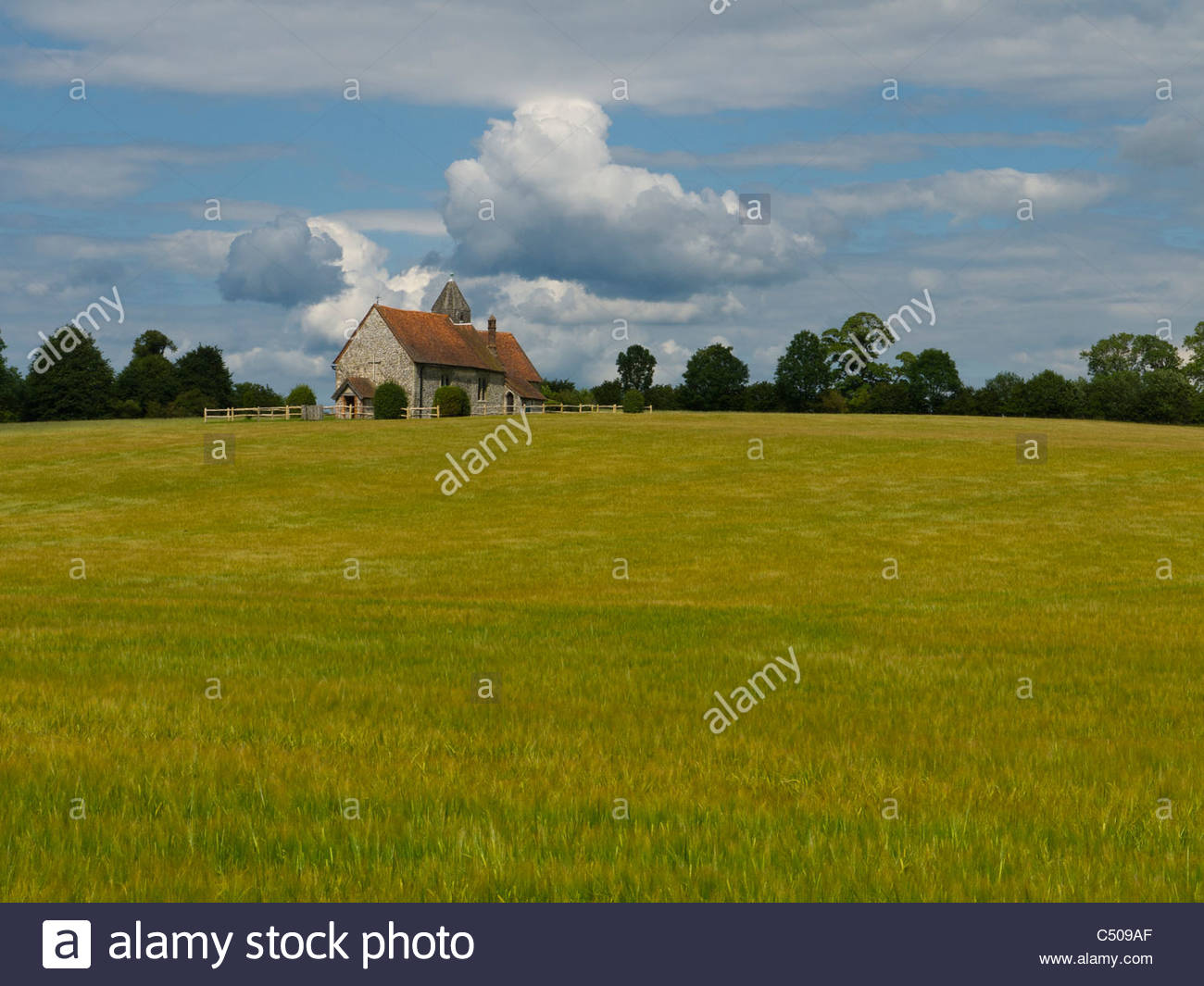 Idsworth Stock Photos & Idsworth Stock Images - Alamy