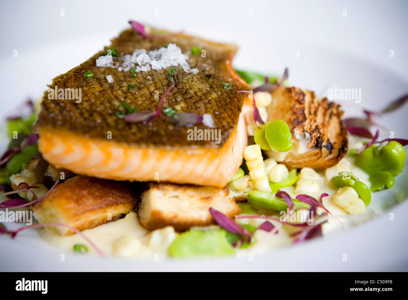 Salmon entree hi-res stock photography and images - Alamy