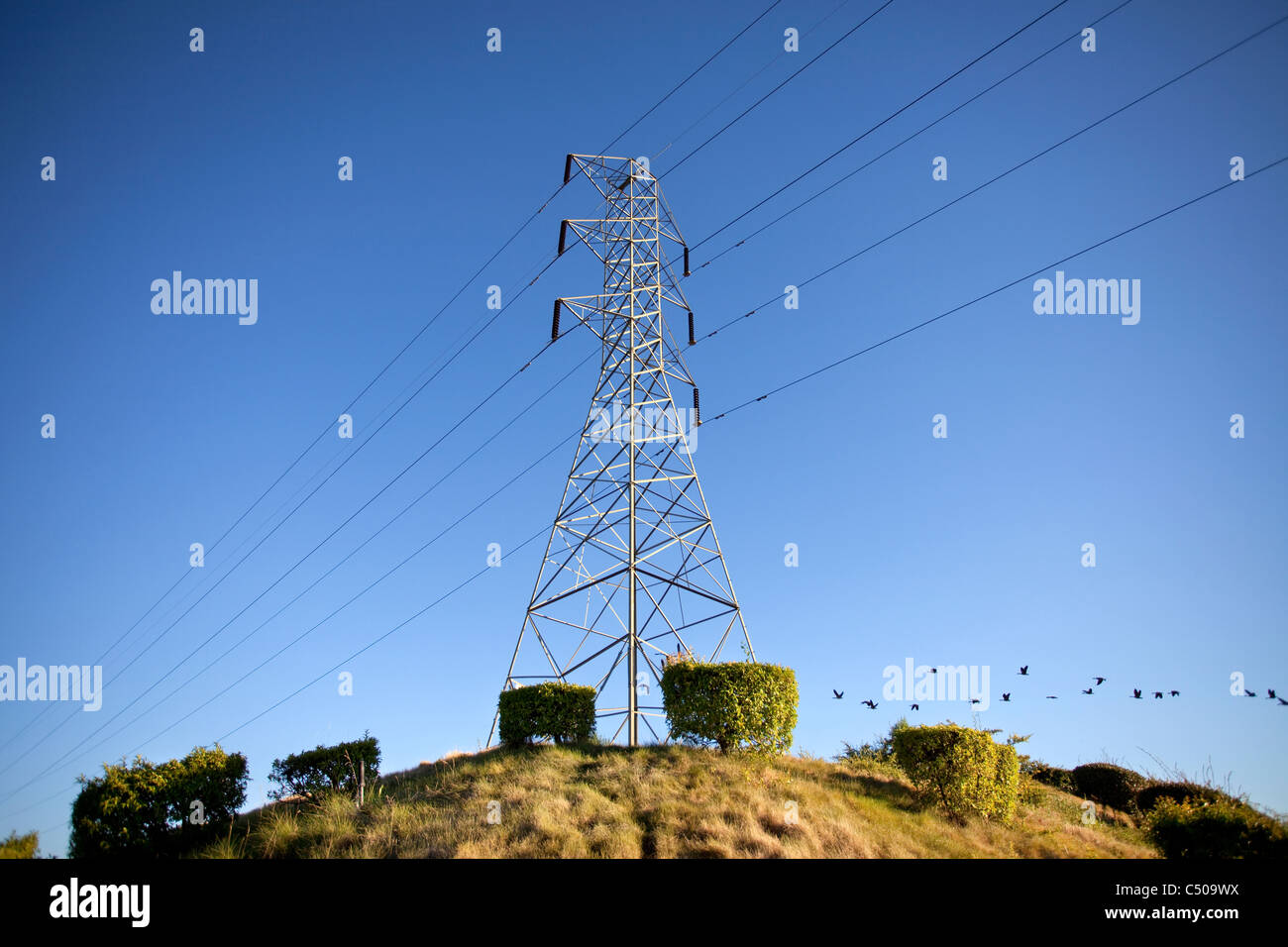 Power line hi-res stock photography and images - Alamy