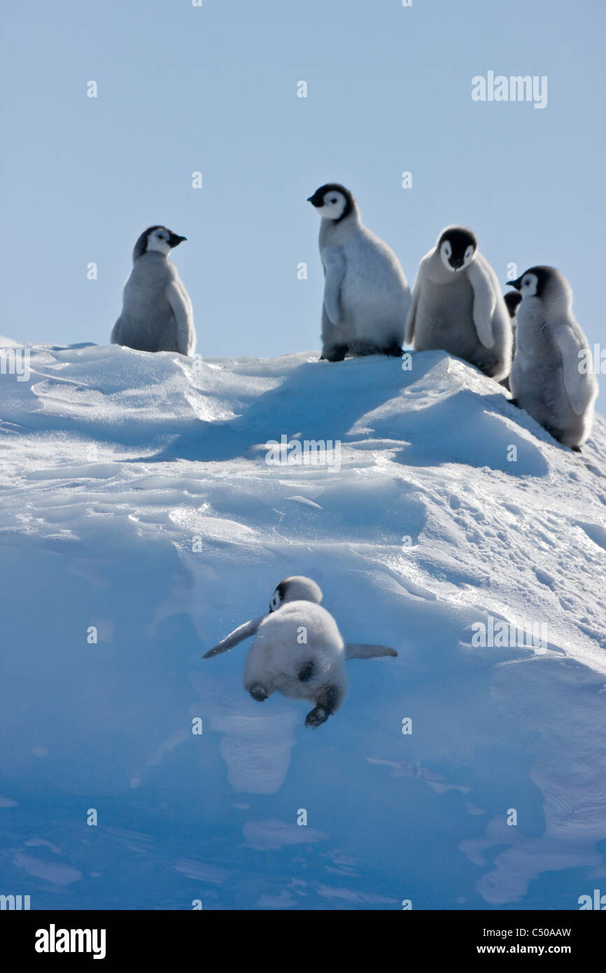 Baby climbing small slide hi-res stock photography and images - Alamy