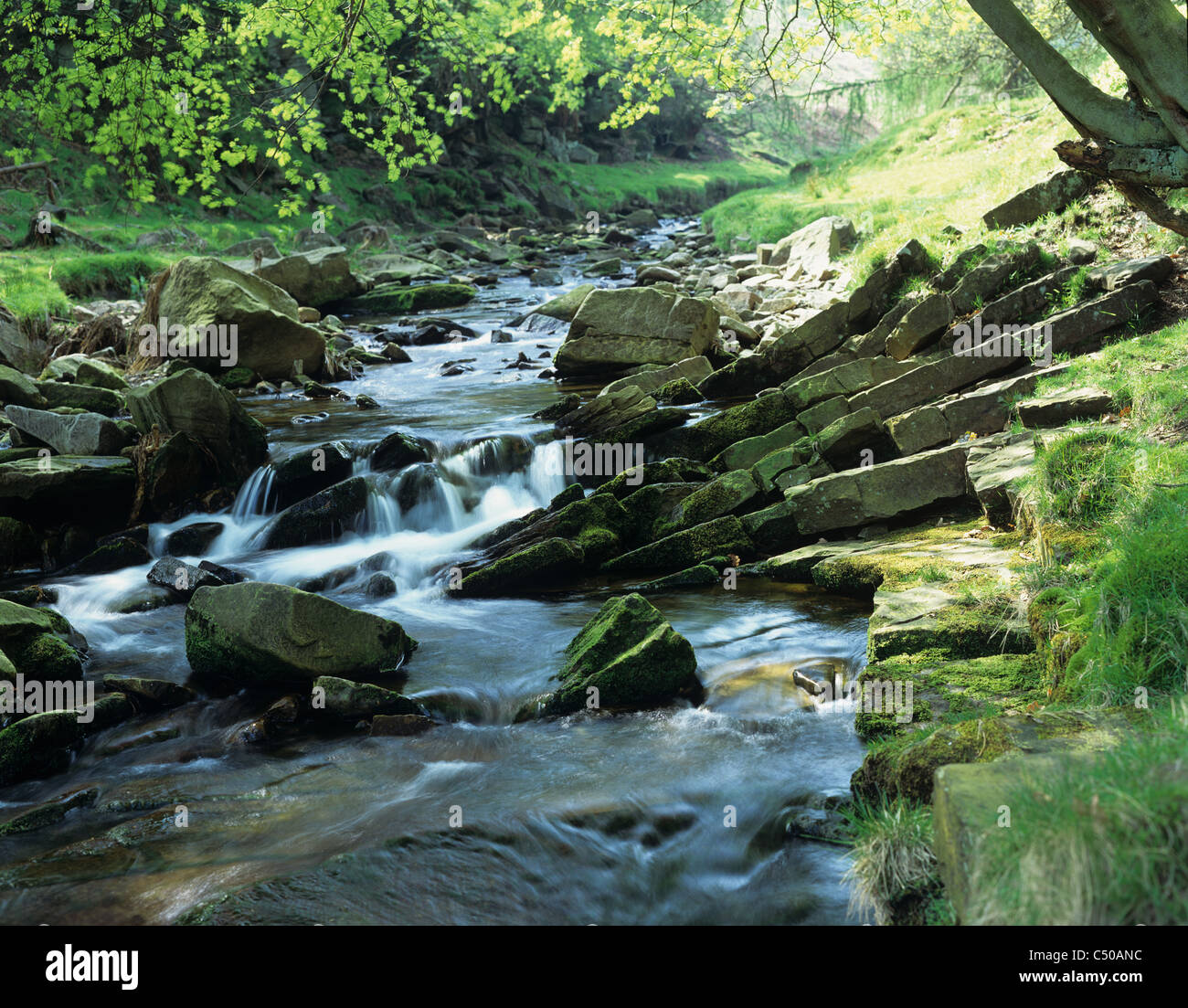 Goyt valley spring hi-res stock photography and images - Alamy