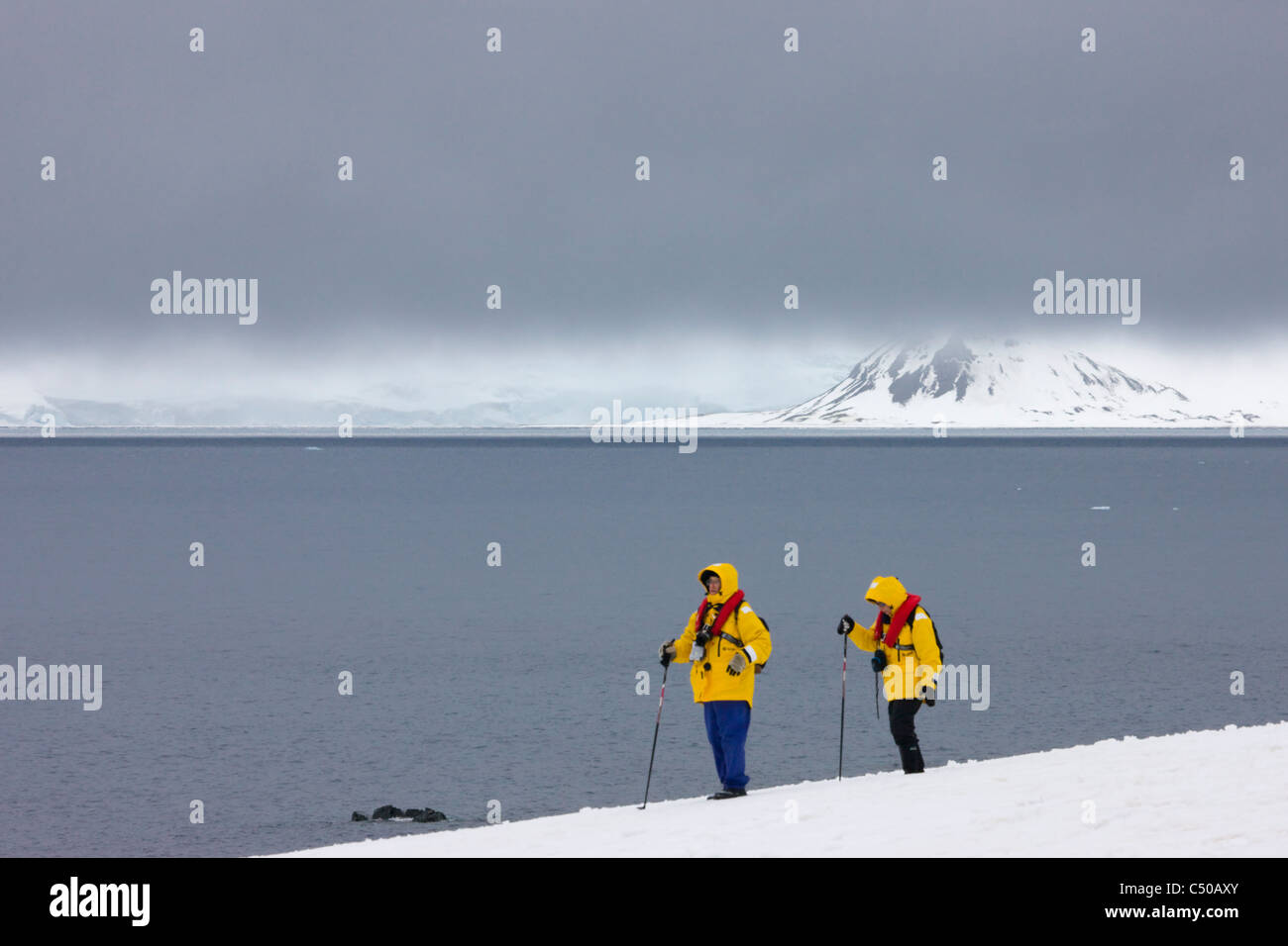 Brown bluff beach antarctica hi-res stock photography and images - Alamy