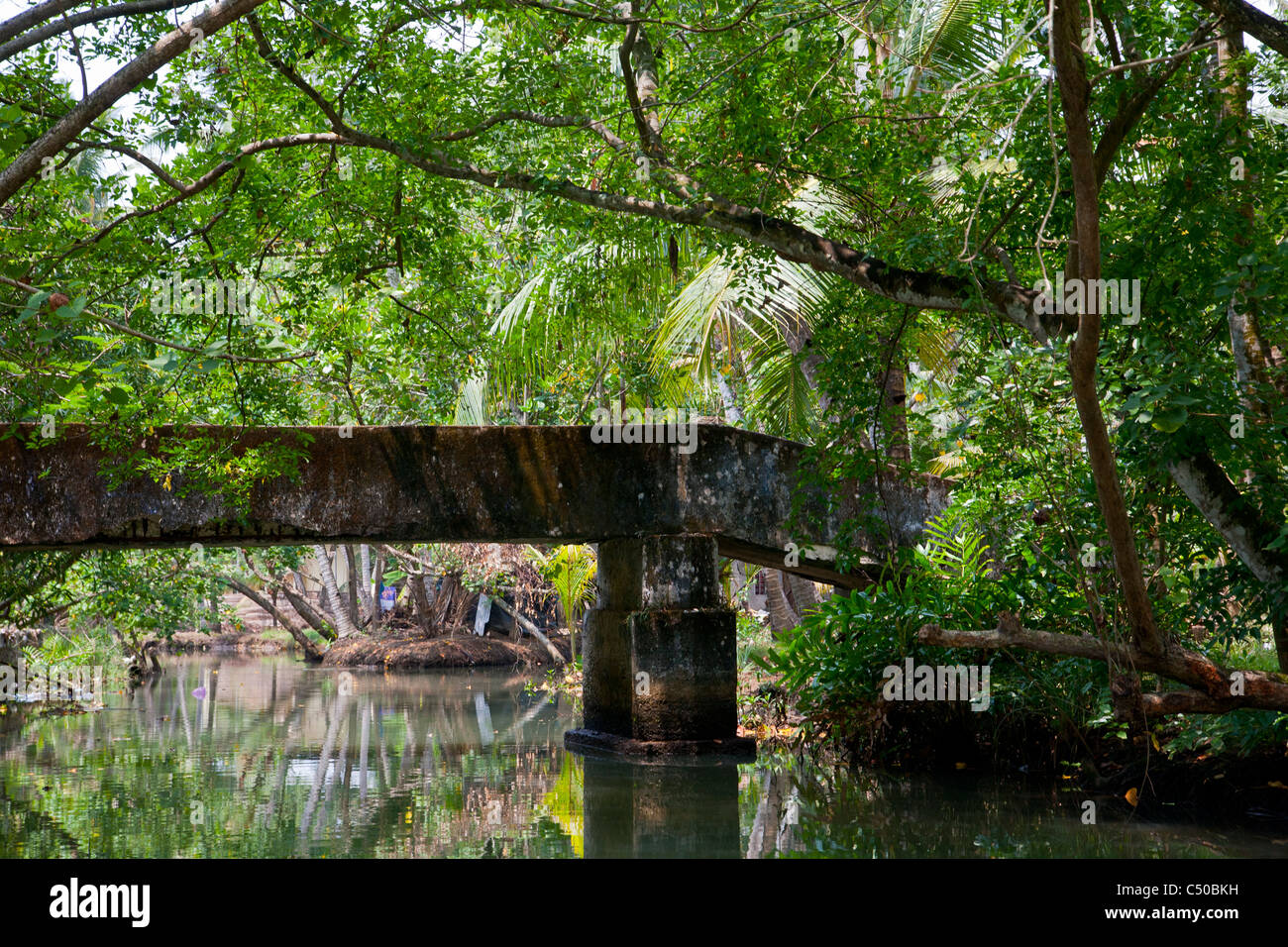 A bridge in the backwaters of Kollam, Kerala, India Stock Photo - Alamy