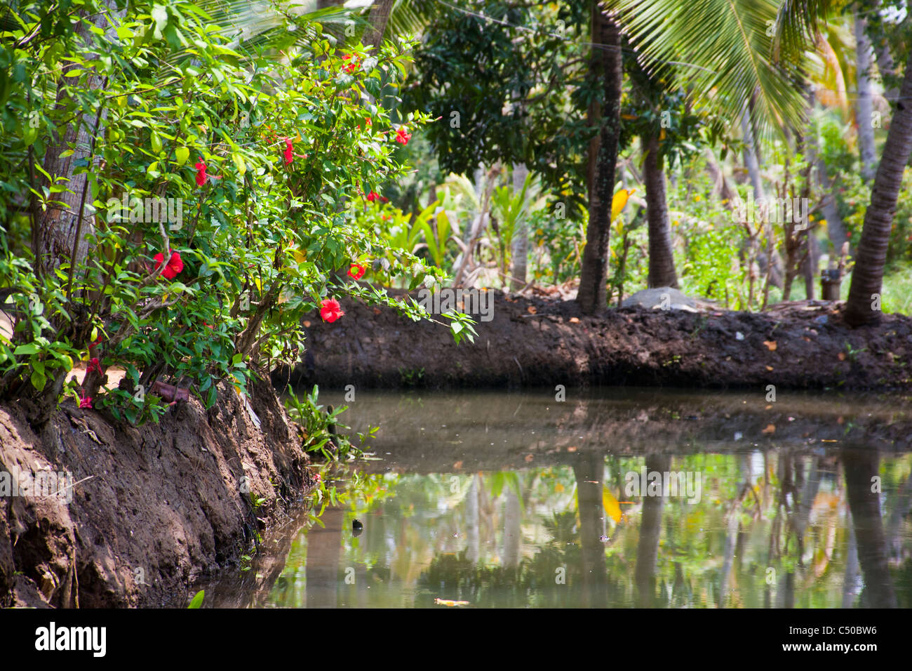 Quilon kerala hi-res stock photography and images - Alamy