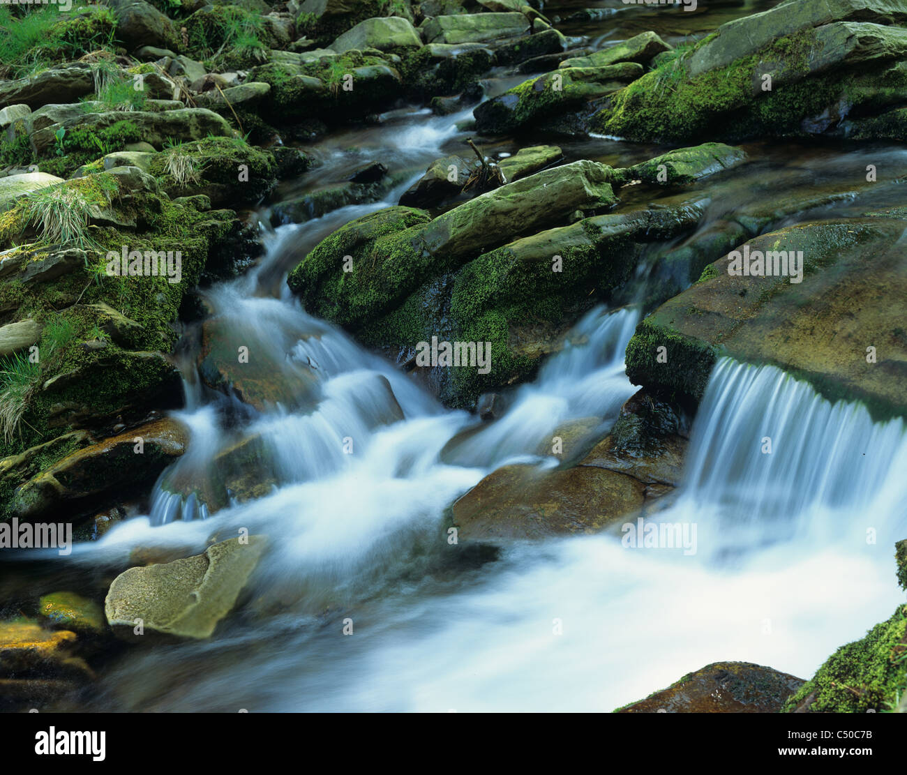 Goyt valley spring hi-res stock photography and images - Alamy