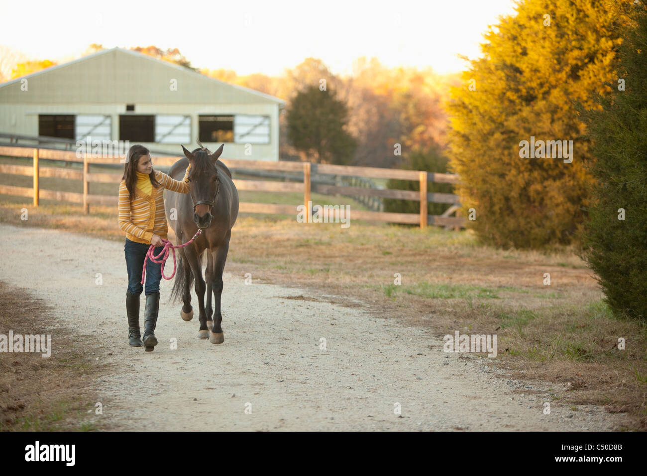 Girl walking with horse hi-res stock photography and images - Alamy