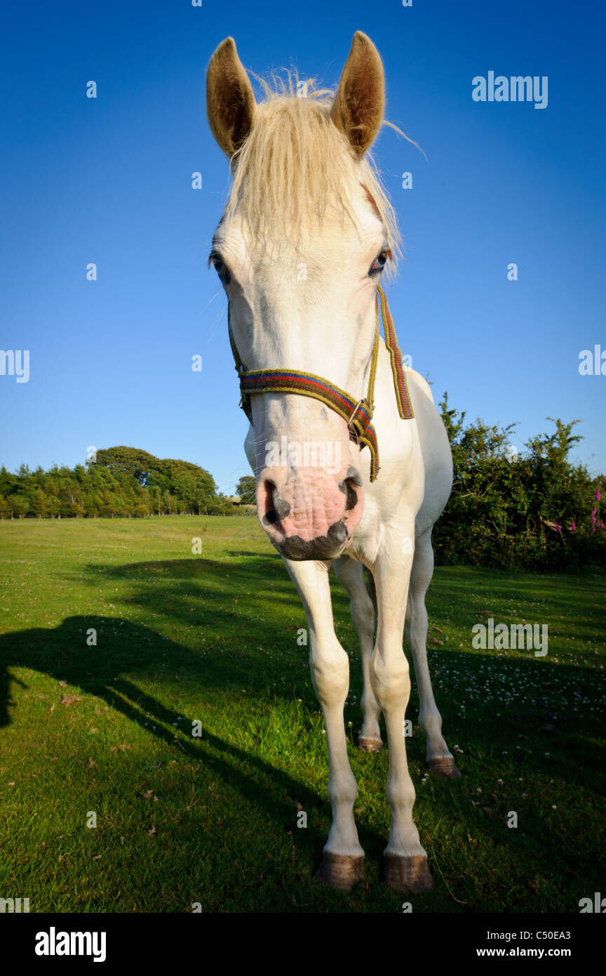 Strong evening hi-res stock photography and images - Alamy