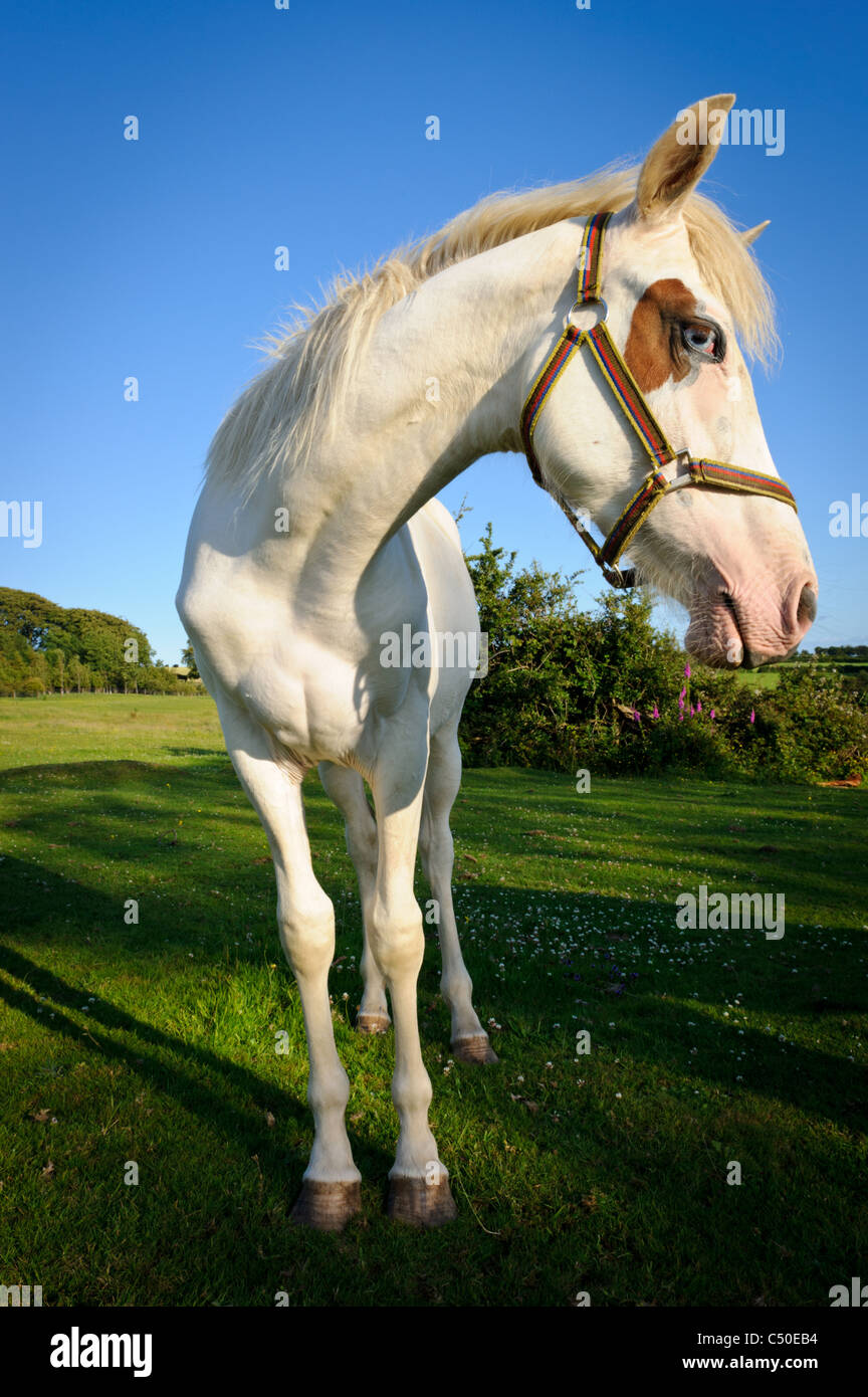 Strong evening hi-res stock photography and images - Alamy