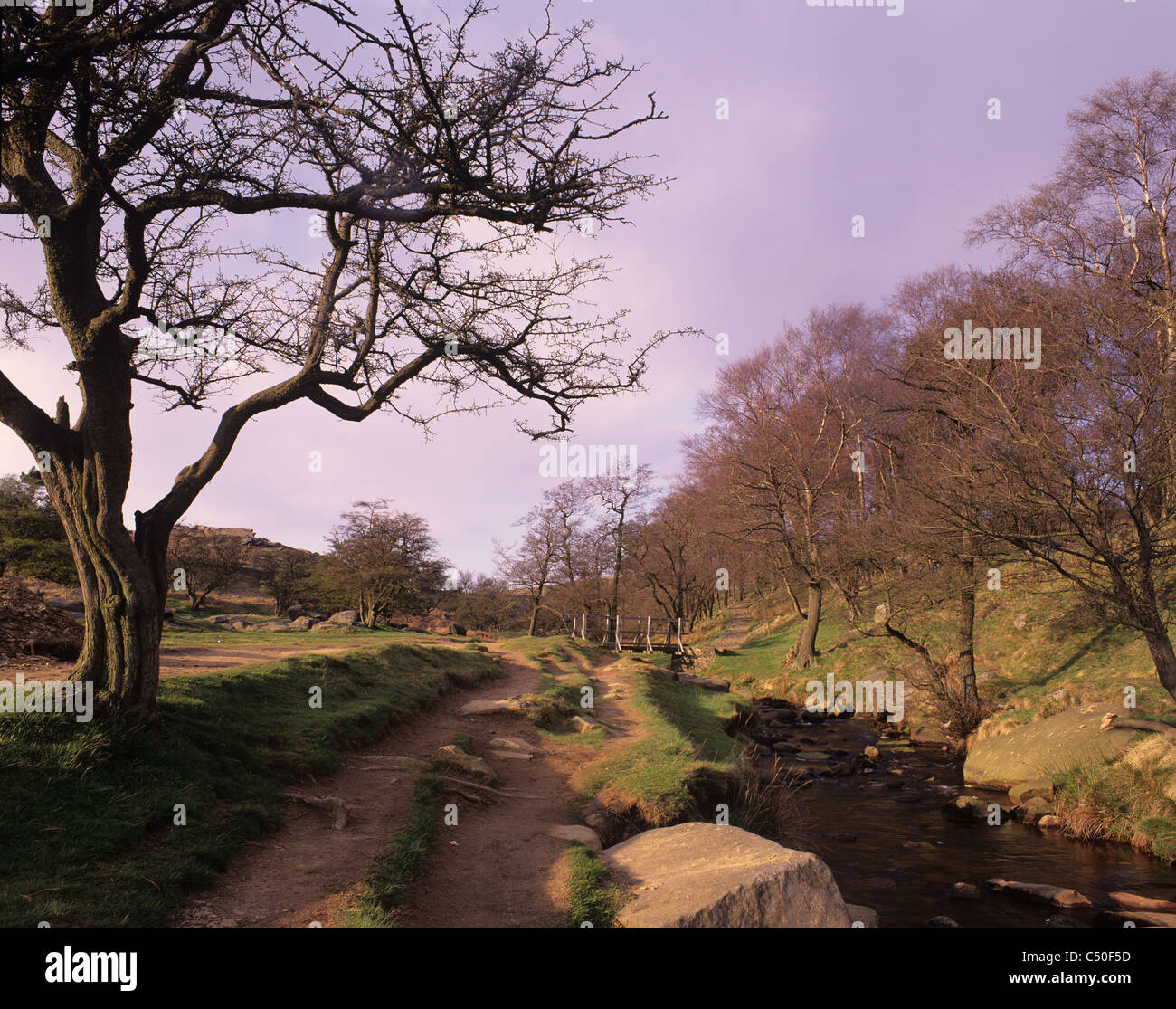 Burbage Brook, Padley Gorge, Derbyshire Stock Photo - Alamy