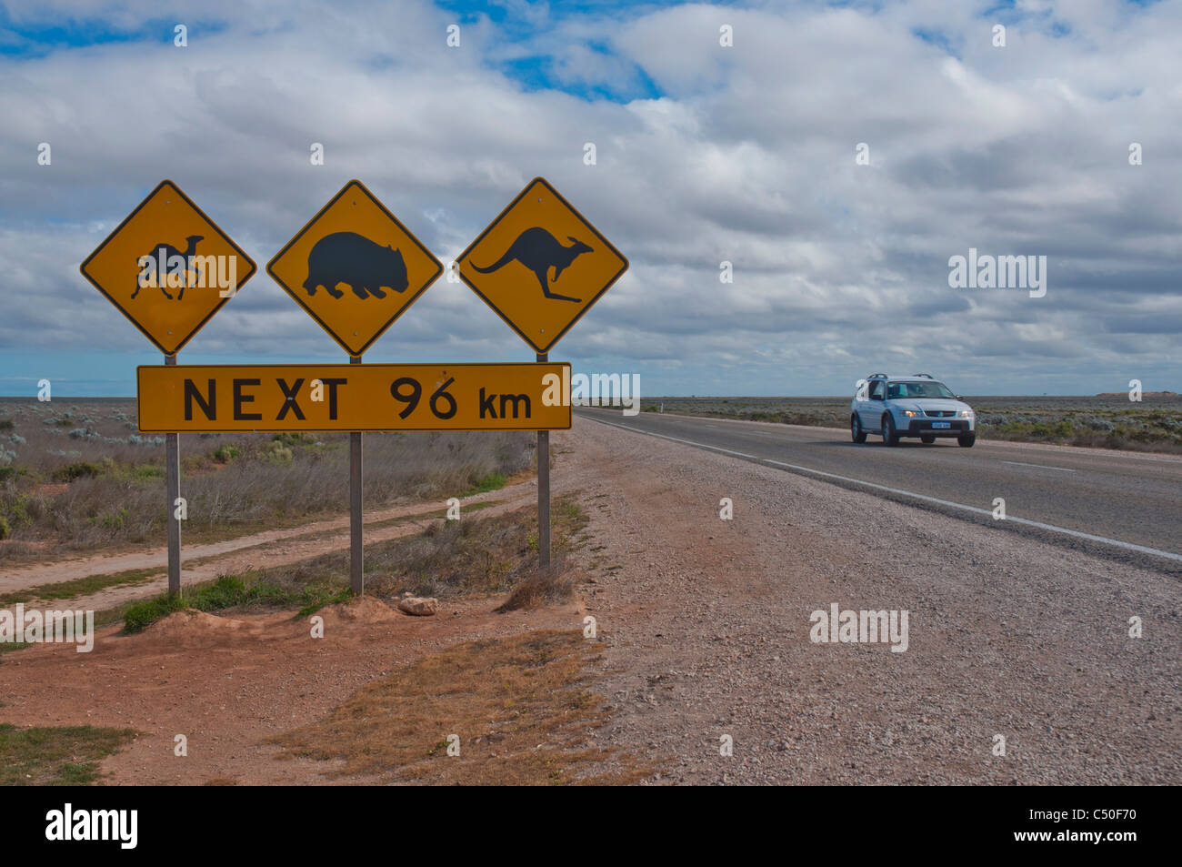 Road signs on the Nullarbor Plain indicating the presence of Camels ...