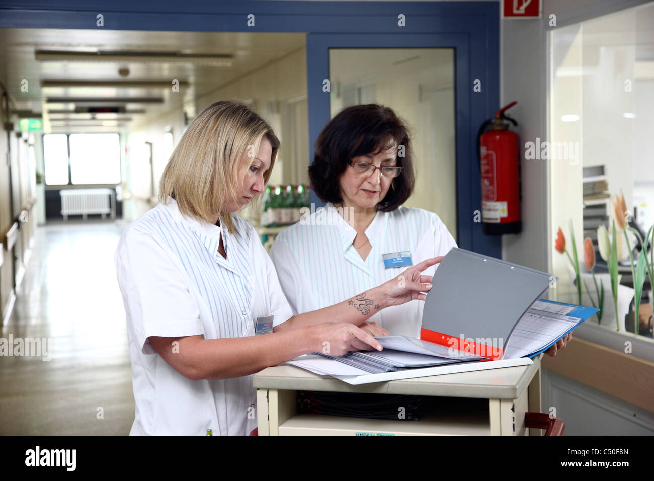 Hospital. Nurses working in a hospital ward, nurses office, doing ...