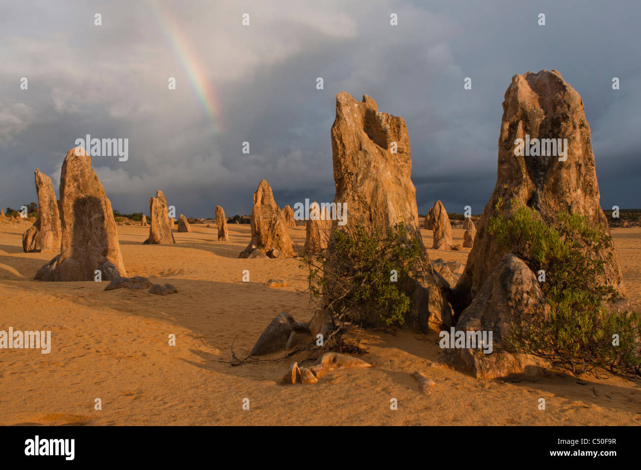 Rock formations in the Pinnacles Desert, Western Australia Stock Photo ...