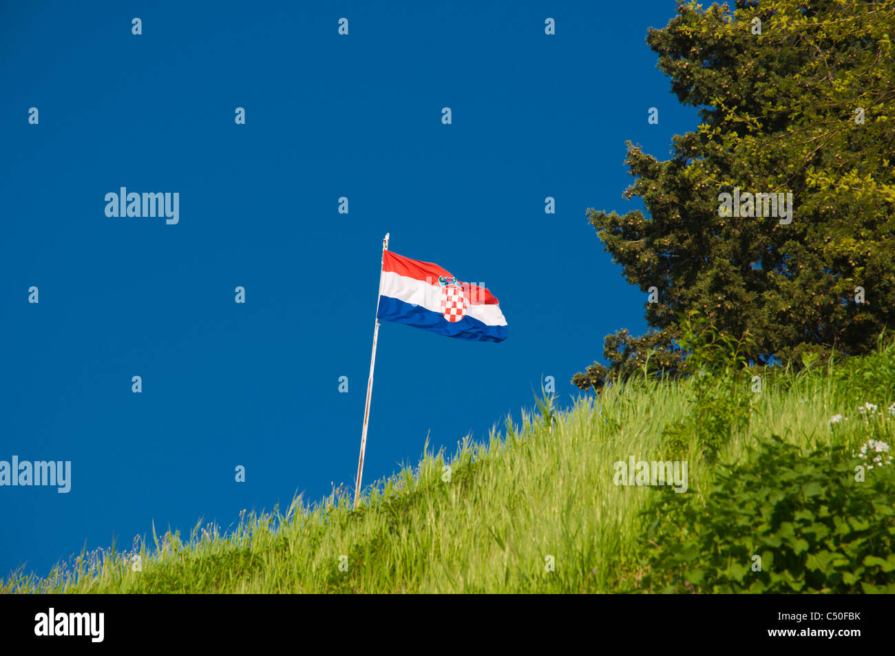 Flag bush hi-res stock photography and images - Alamy