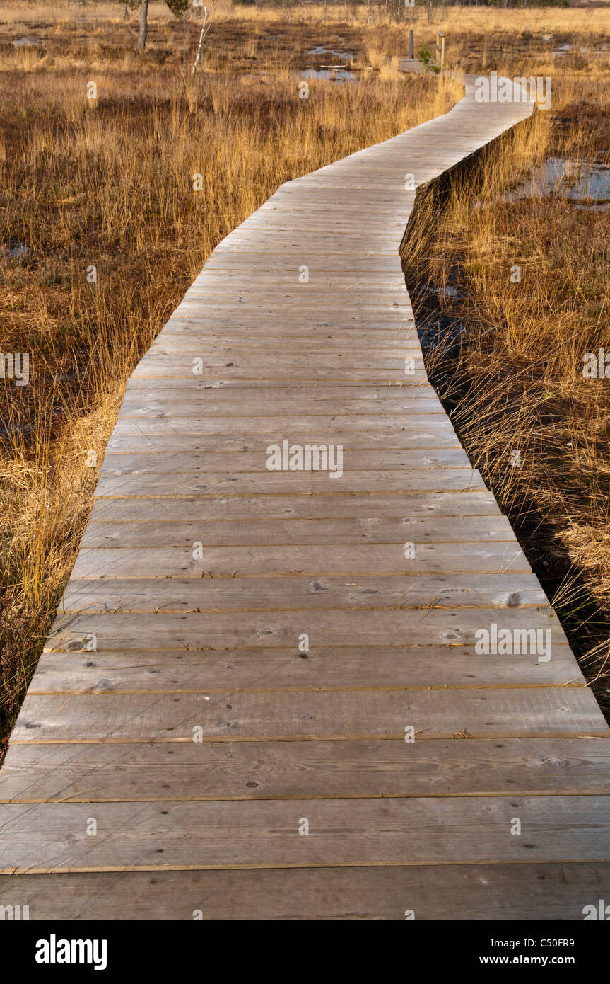 Thursley national nature reserve heath hi-res stock photography and ...