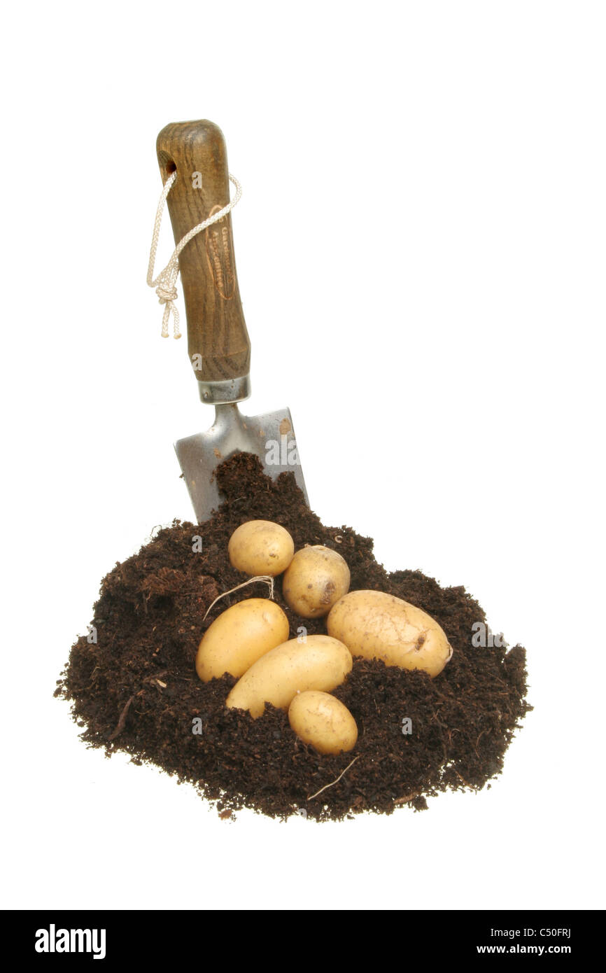 Earth crop Cut Out Stock Images & Pictures - Alamy