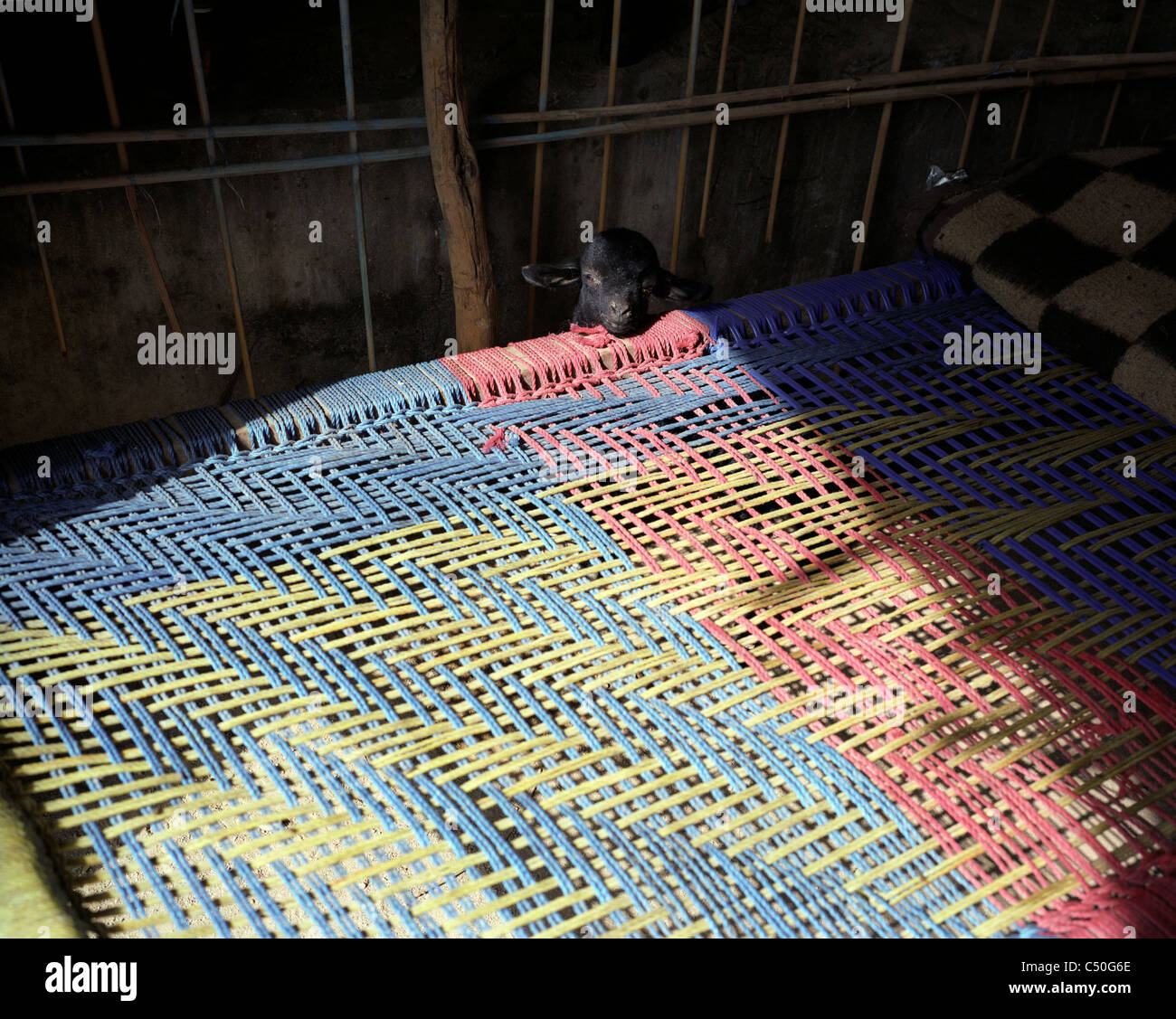 Beja tribe hi-res stock photography and images - Alamy