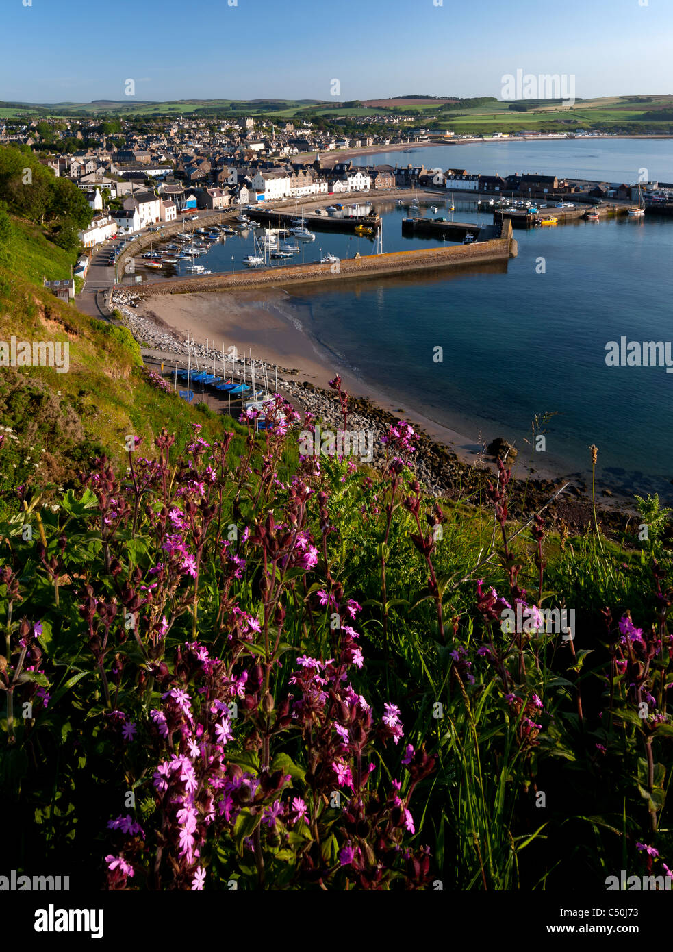 Stonehaven village hi-res stock photography and images - Alamy