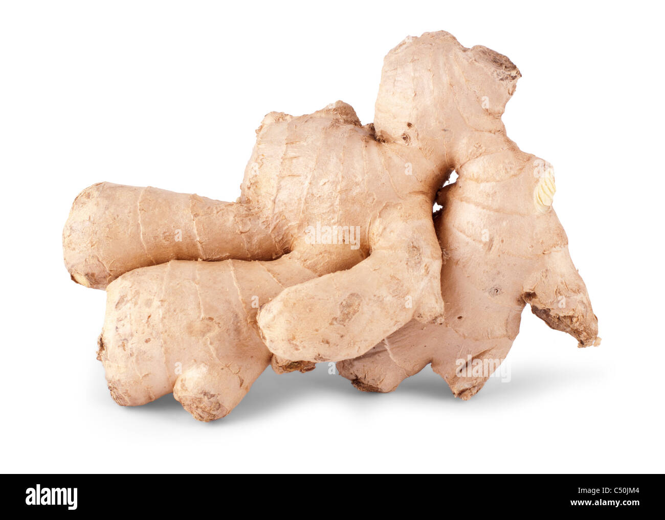 Single ginger isolated on white background Stock Photo - Alamy