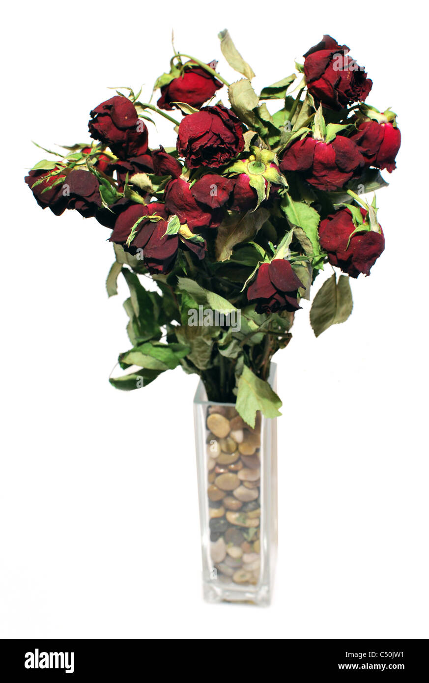 Dried Roses in the Glass Bowl With Pebbles Stock Photo - Alamy