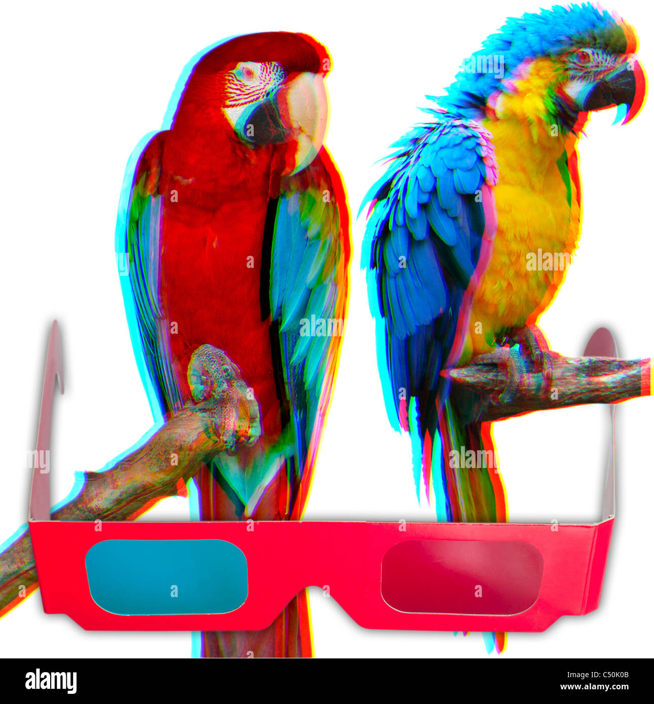 Paper 3D Glasses and Three Dimensional Image of Ara Parrots Stock Photo ...