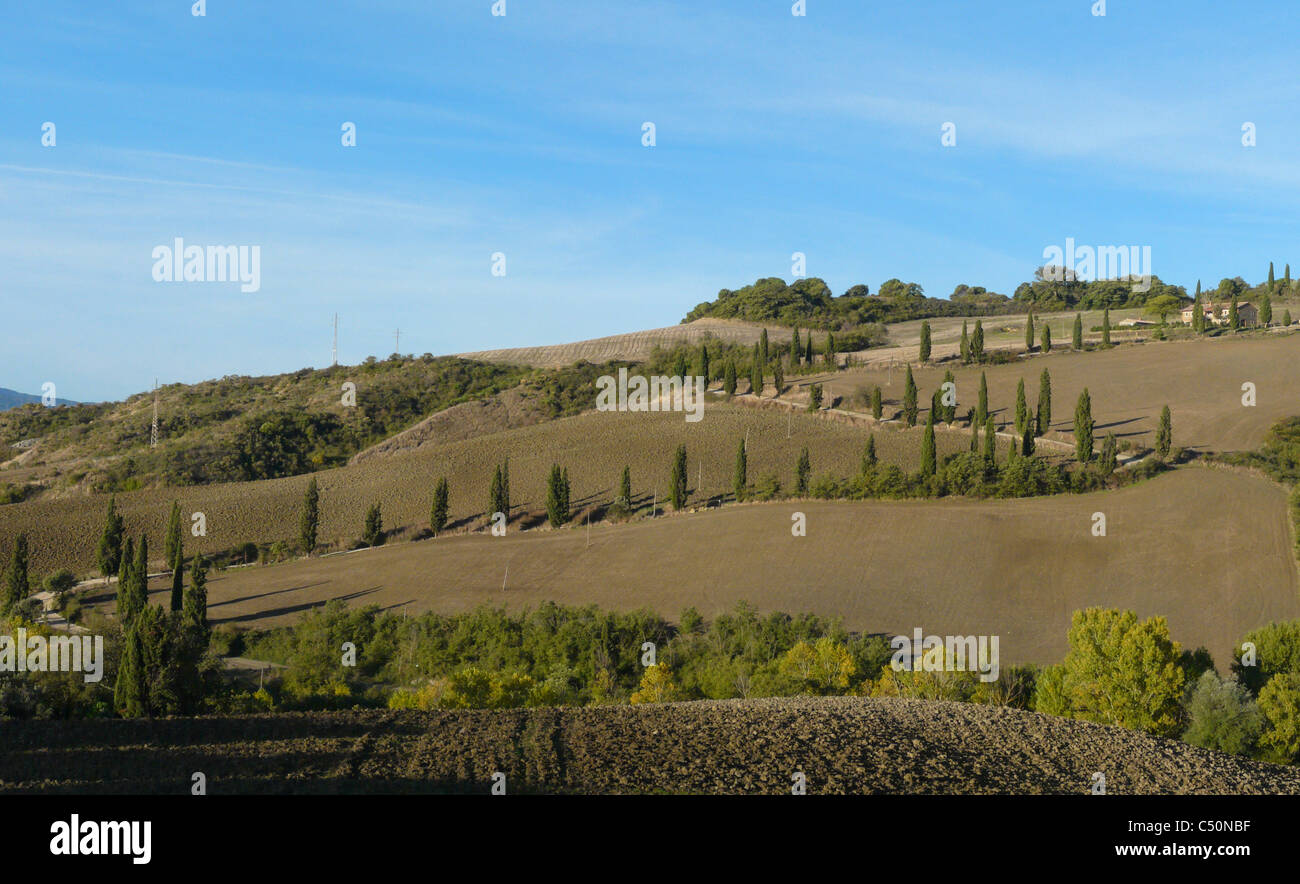 Famous curve in the road lined by cypresses near La Foce in the Val d ...