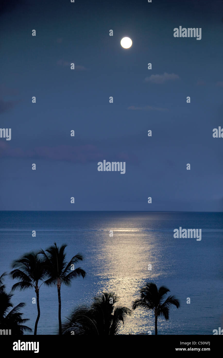 Moon setting over ocean with palm trees. Maui, Hawaii Stock Photo - Alamy