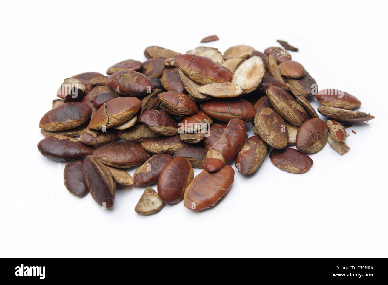 Irvingia Malayana nuts , The Barking Deer’s Mango nuts Stock Photo - Alamy