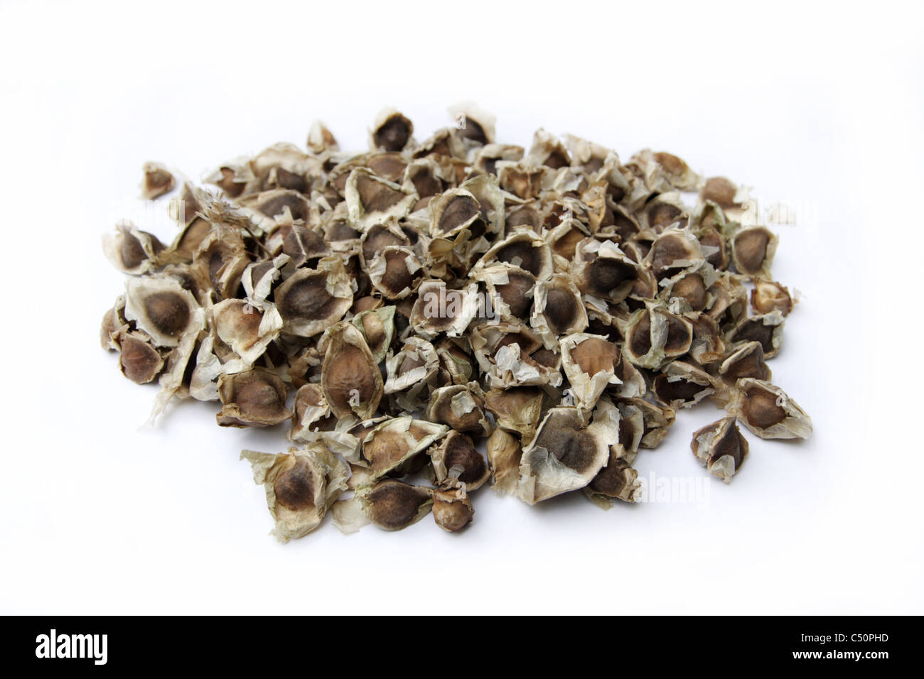 Moringa seeds herb herbs hi-res stock photography and images - Alamy