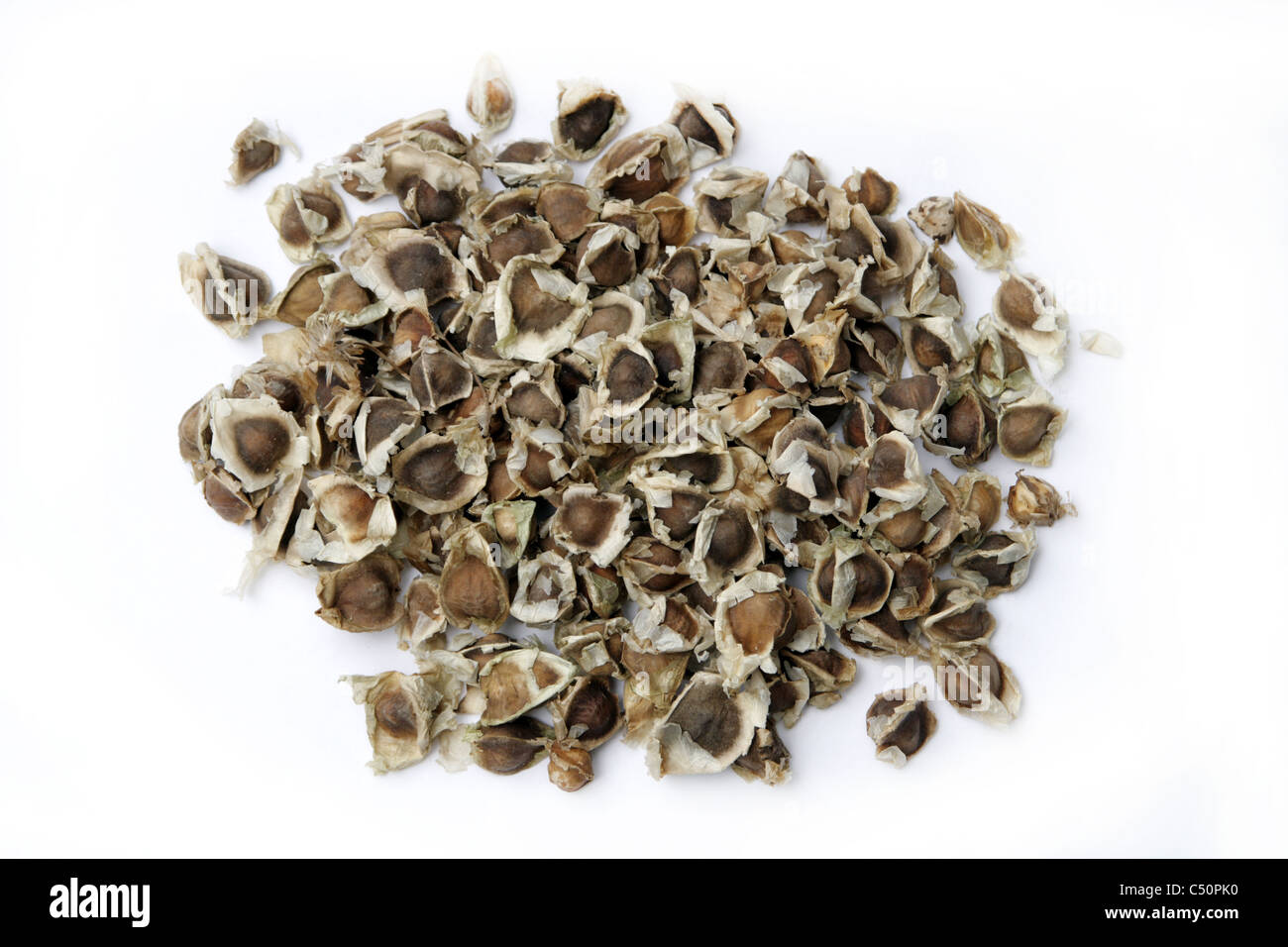 Moringa seeds herb herbs hi-res stock photography and images - Alamy