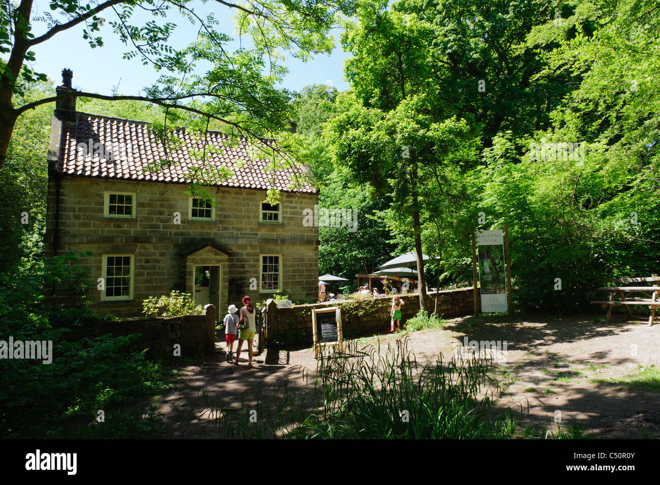 Sneaton Forest High Resolution Stock Photography and Images - Alamy