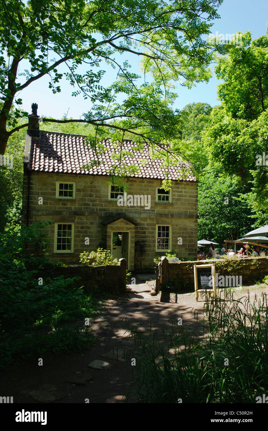 Sneaton Forest High Resolution Stock Photography and Images - Alamy