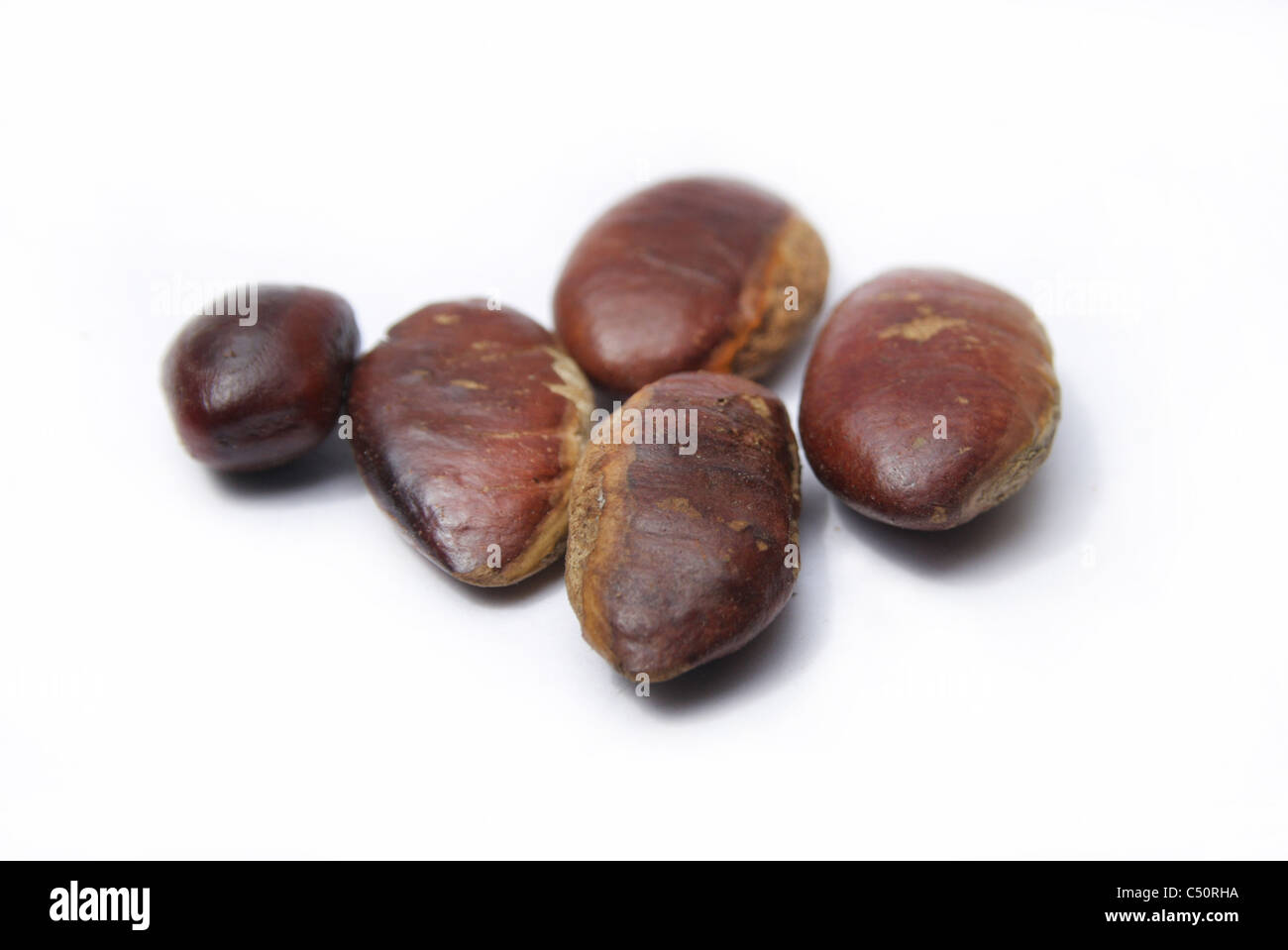 Irvingia Malayana nuts , The Barking Deer’s Mango nuts Stock Photo - Alamy