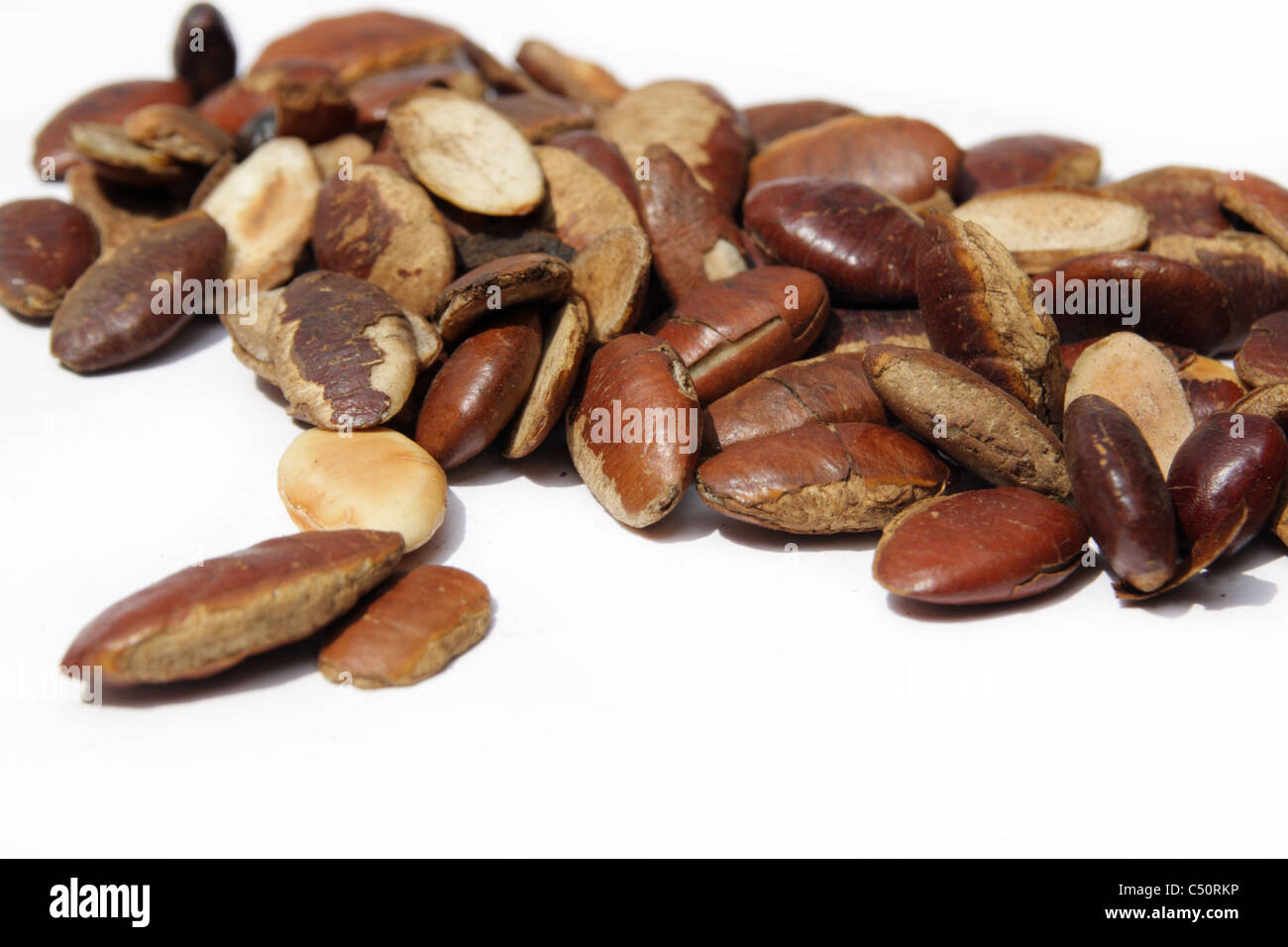 Irvingia Malayana nuts , The Barking Deer’s Mango nuts Stock Photo - Alamy