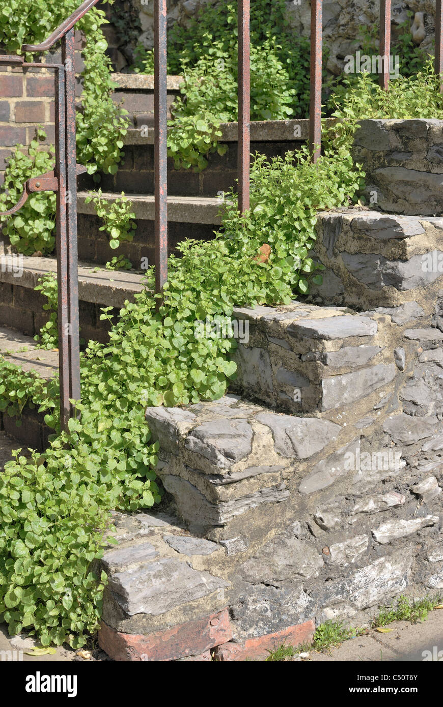 Steps railing architecture hi-res stock photography and images - Alamy