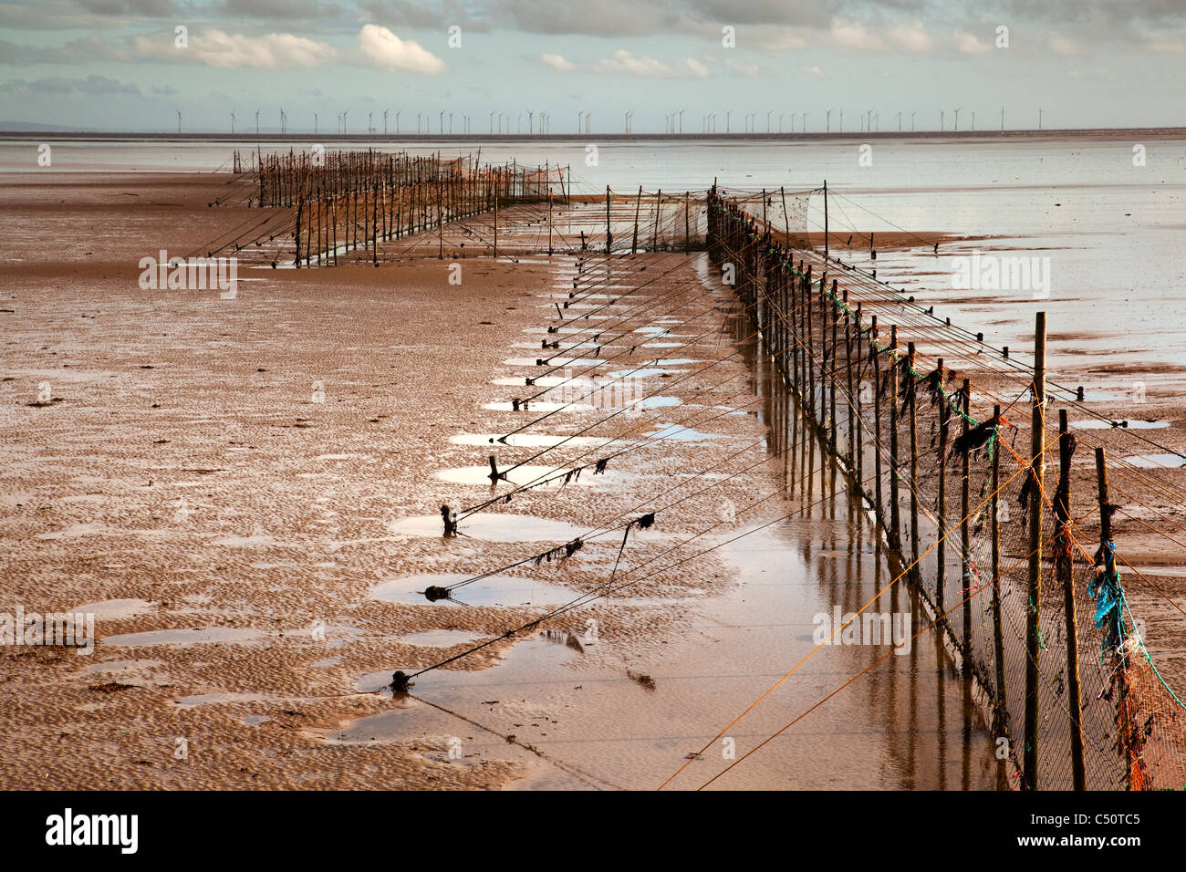A view of fishing nets on the Solway Firth at low tide with wind ...