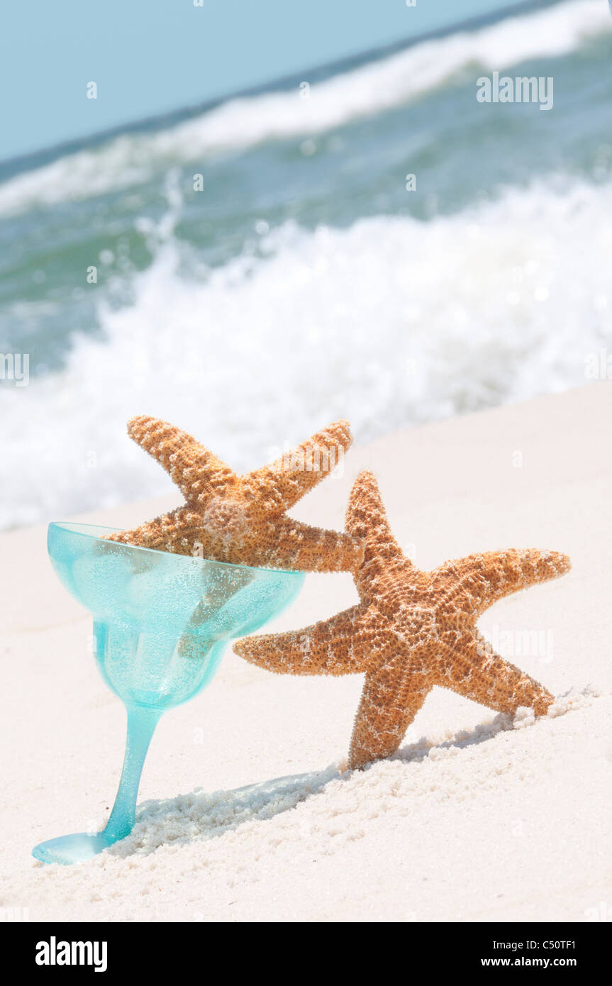 Starfish looking tipsy on beach hi-res stock photography and images - Alamy