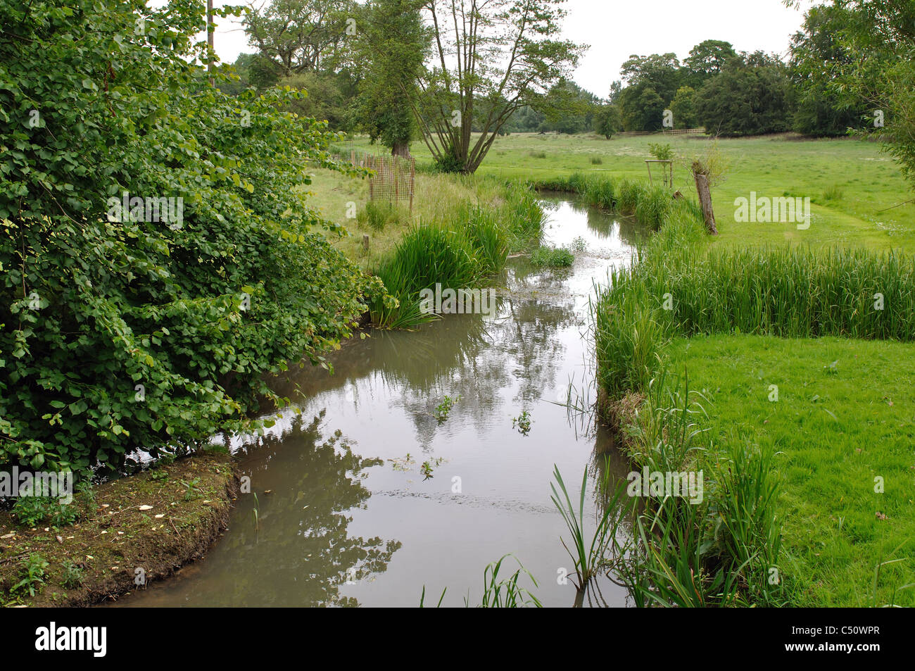 River Coln at Coln St. Dennis, Gloucestershire, England, UK Stock Photo ...
