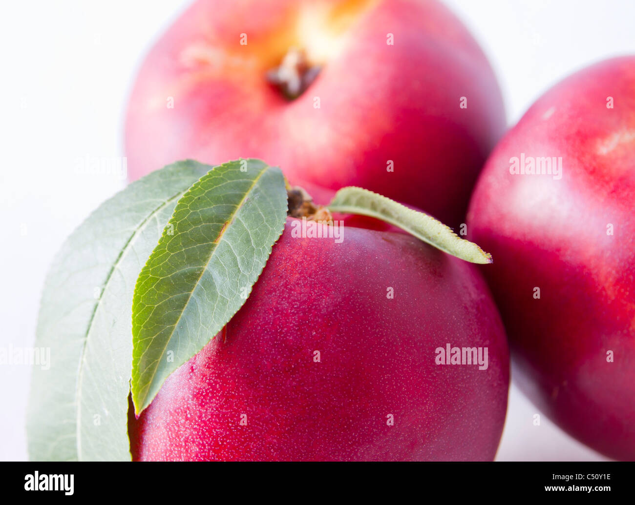 nectarine on white background shot in a studio Stock Photo - Alamy