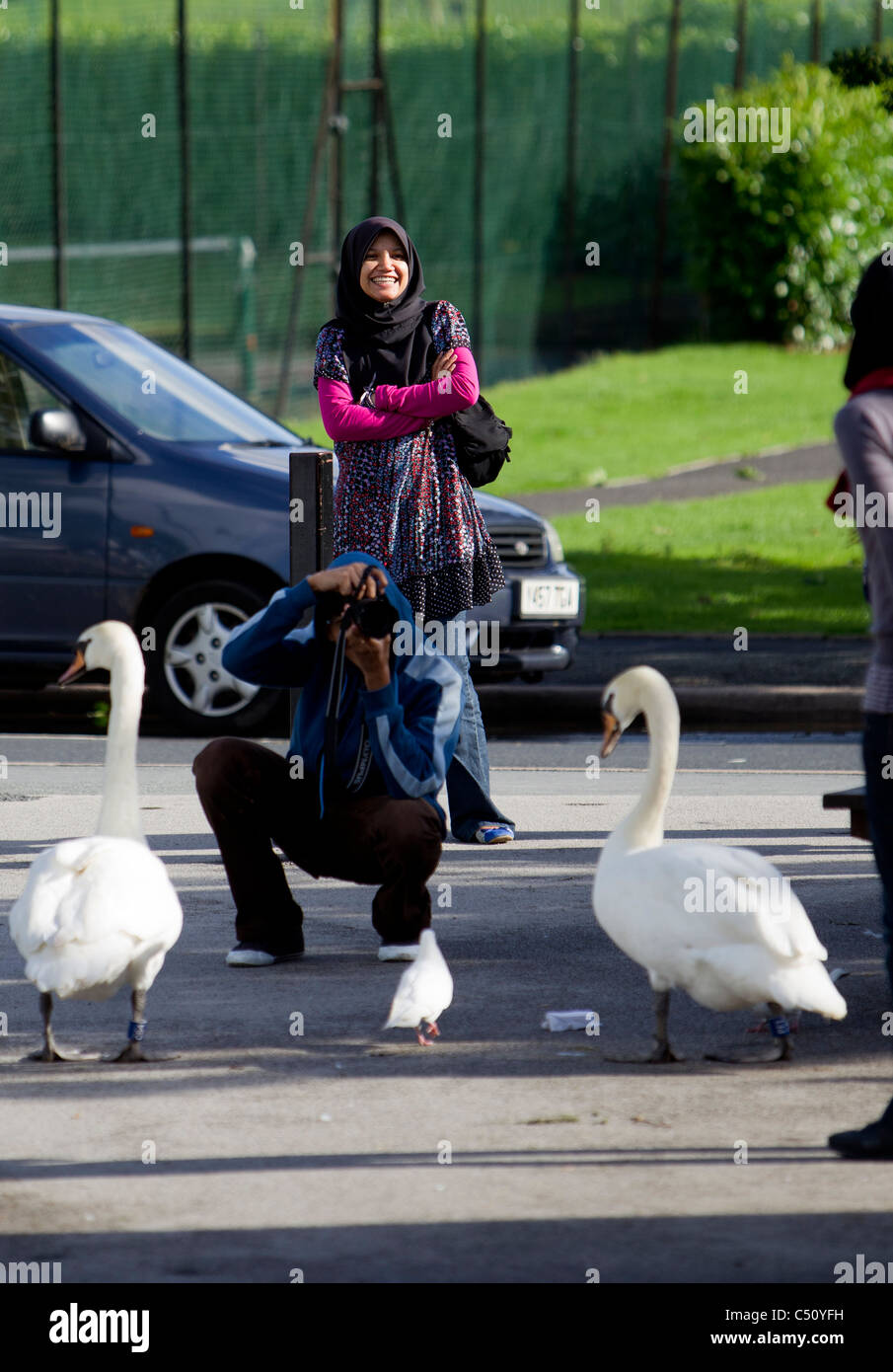 Digital photographer taking photographs of swans Stock Photo - Alamy