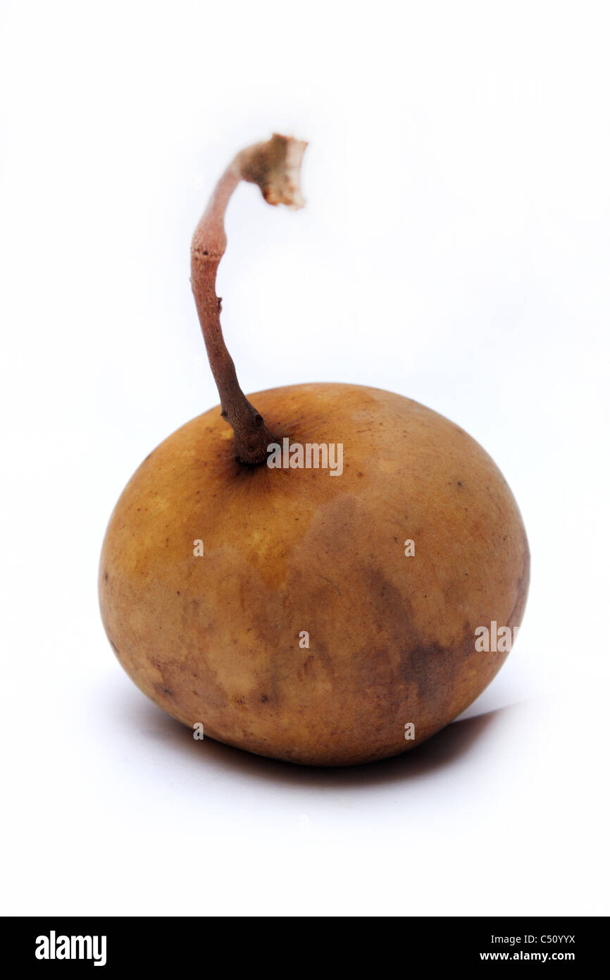 Santol hi-res stock photography and images - Alamy