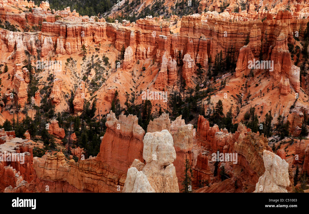 the amazing rock structures at bryce canyon, utah, usa Stock Photo - Alamy