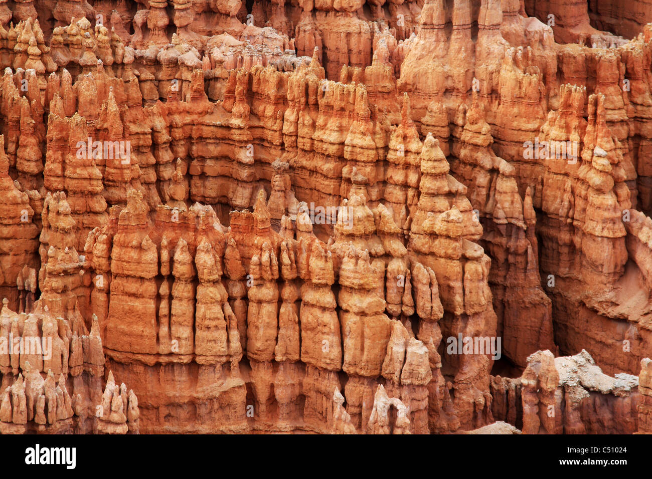 the amazing rock structures at bryce canyon, utah, usa Stock Photo - Alamy