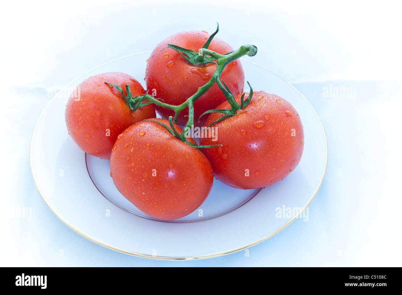 Four tomatoes with vine on white plate Stock Photo - Alamy