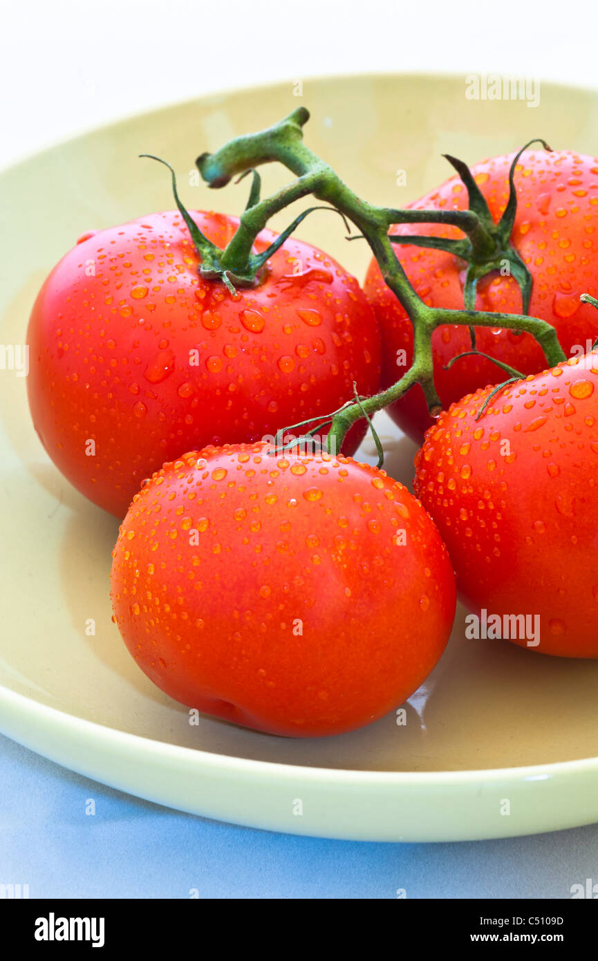 Four tomatoes with vine in lime green bowl Stock Photo - Alamy
