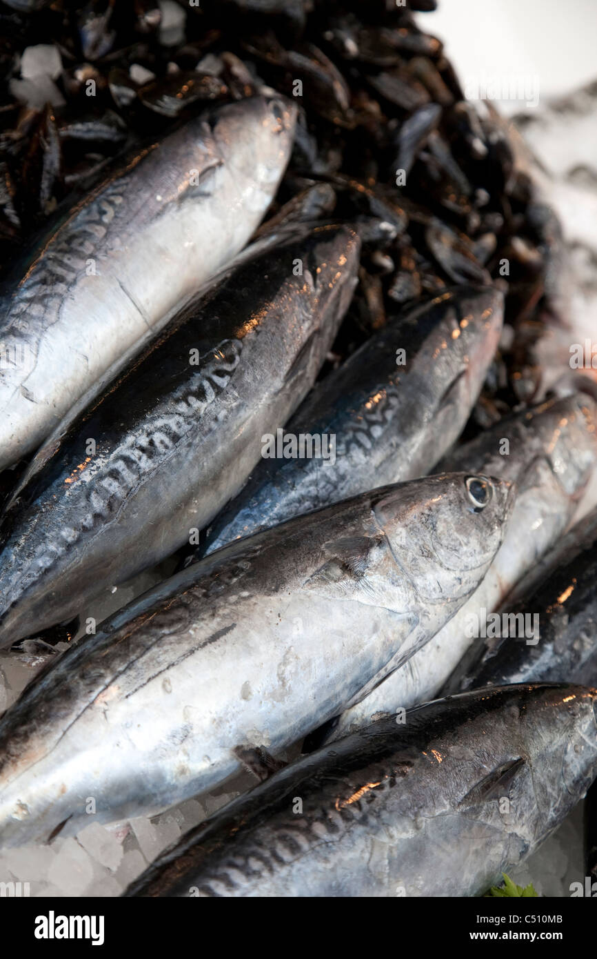 Fish on Sale on Market Stall Stock Photo - Alamy